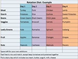 Cure Food Intolerances Once and For All (Free Eating Guide Download ...