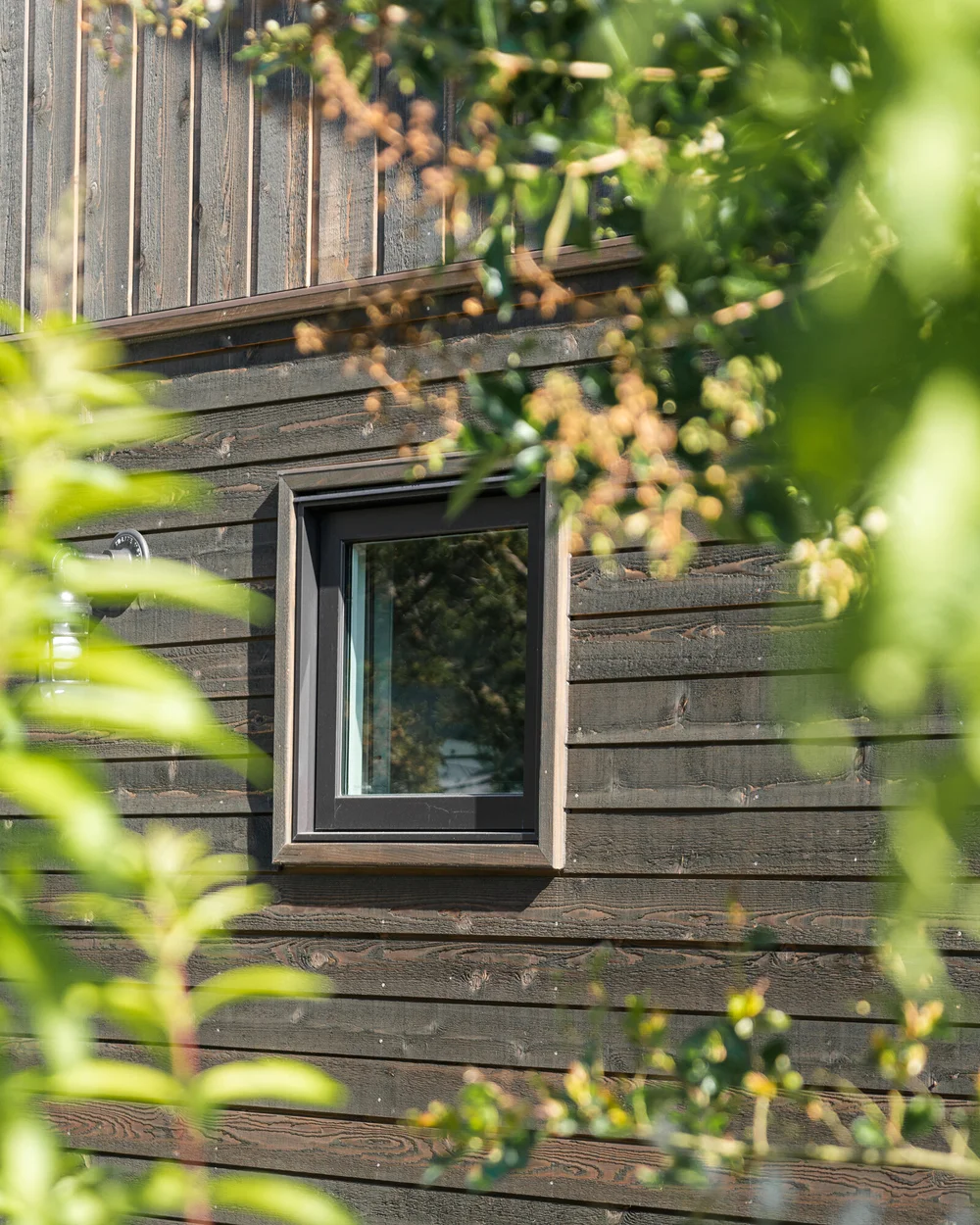 Mutiny Bay Beach Cabin — Graham Baba Architects