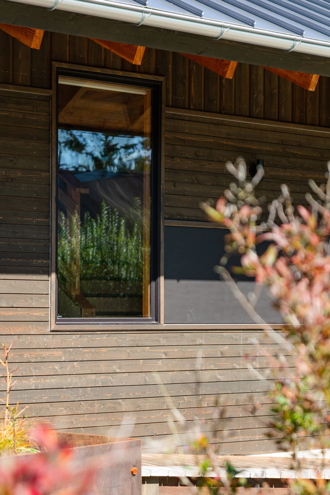 Mutiny Bay Beach Cabin — Graham Baba Architects