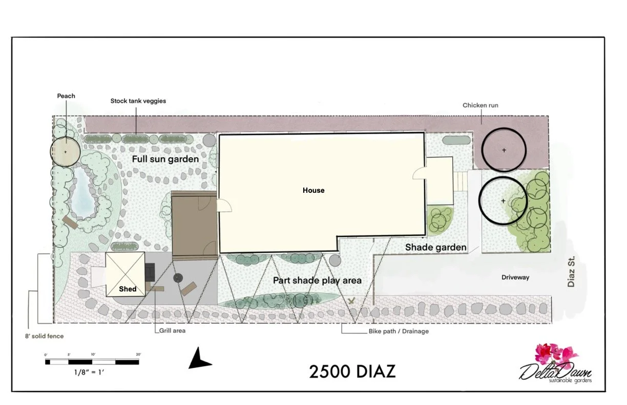 Concept plan examples — Delta Dawn