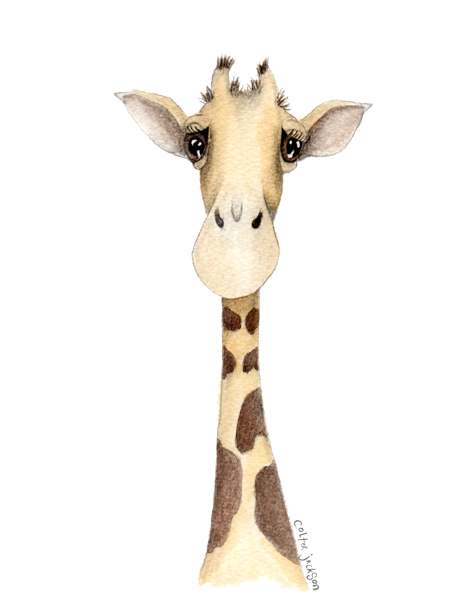 the art — Colter Jackson