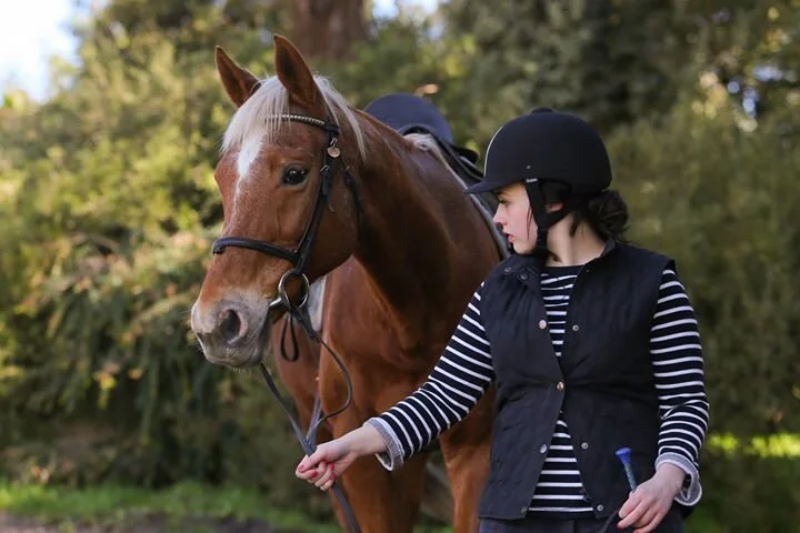 Adult Tuition — Ranges Equestrian Centre