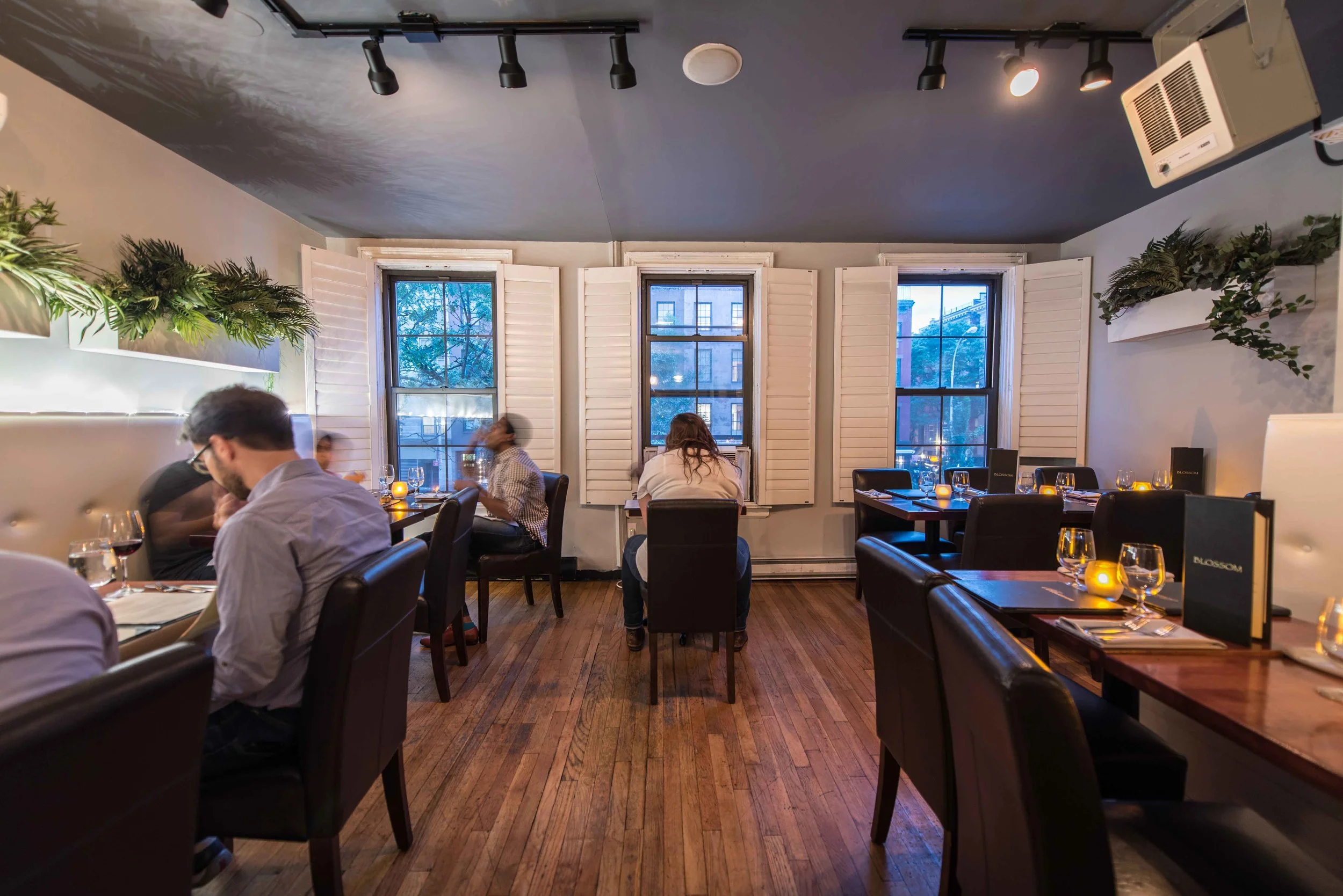 Blossom Restaurant — Blossom Restaurants