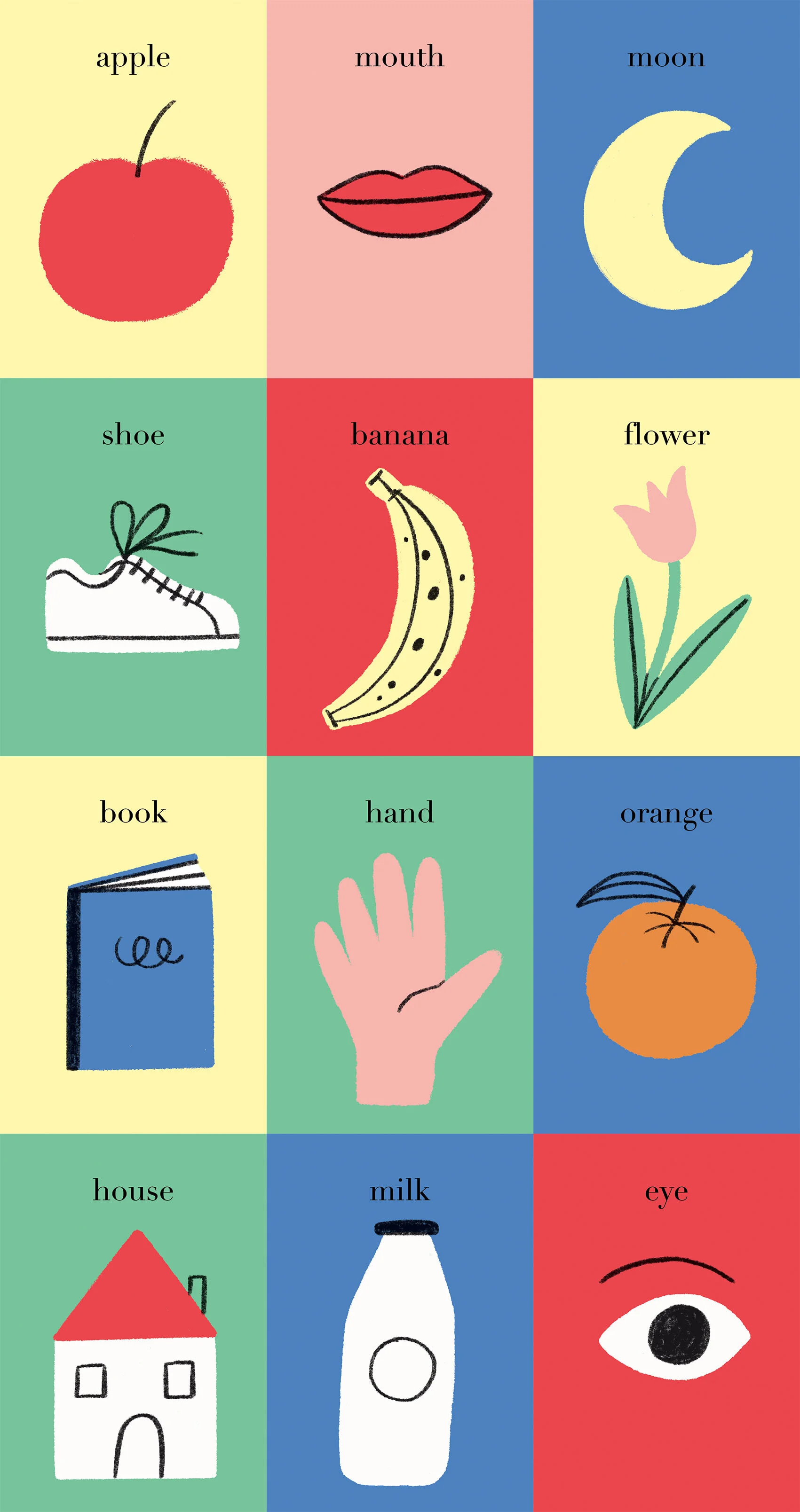 Flashcards Aki Flashcards Aki