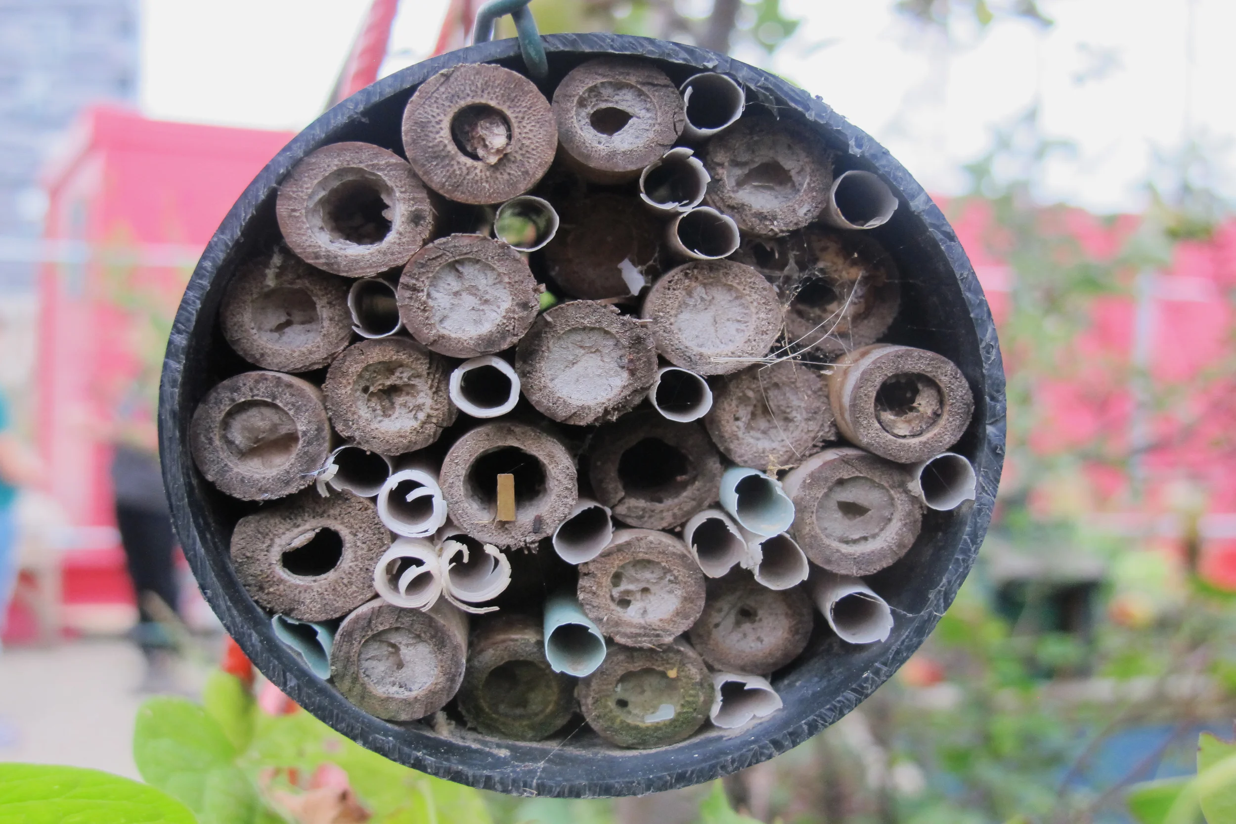 About Us — Global Generation