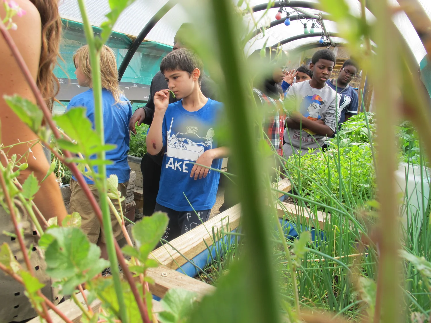 Get involved — Global Generation