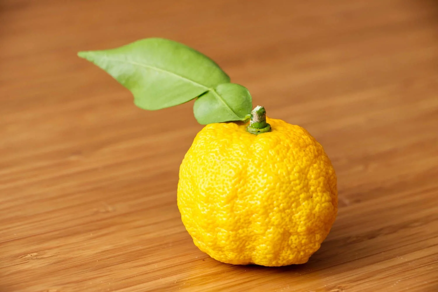 Eien Hunter-Ishikawa - How to make yuzu kosho