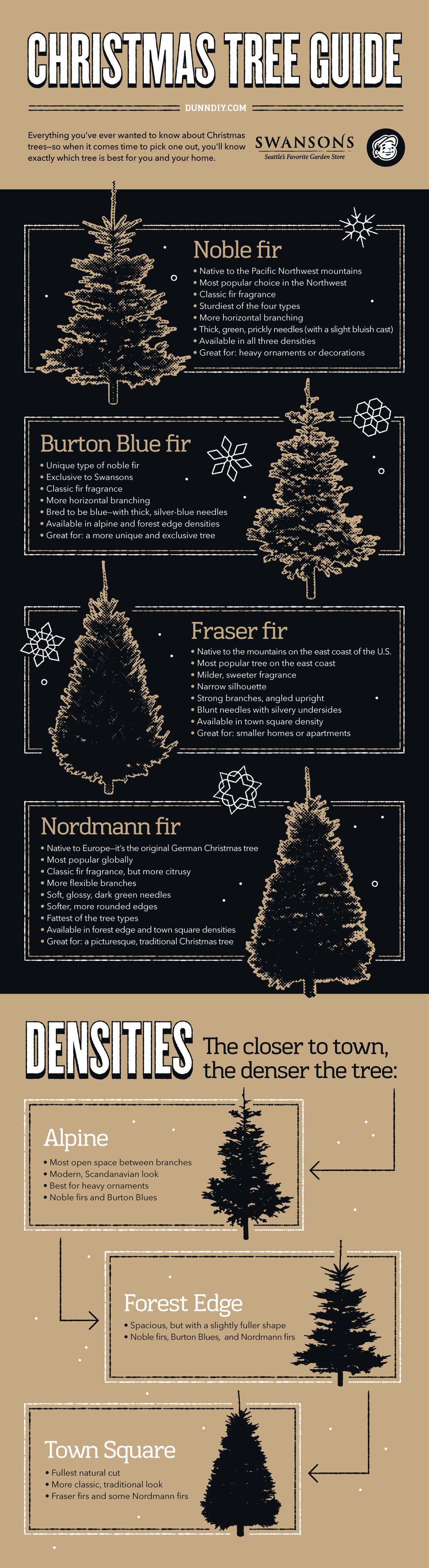 Christmas Tree Guide — Pick the Perfect Christmas Tree at Swansons Nursery