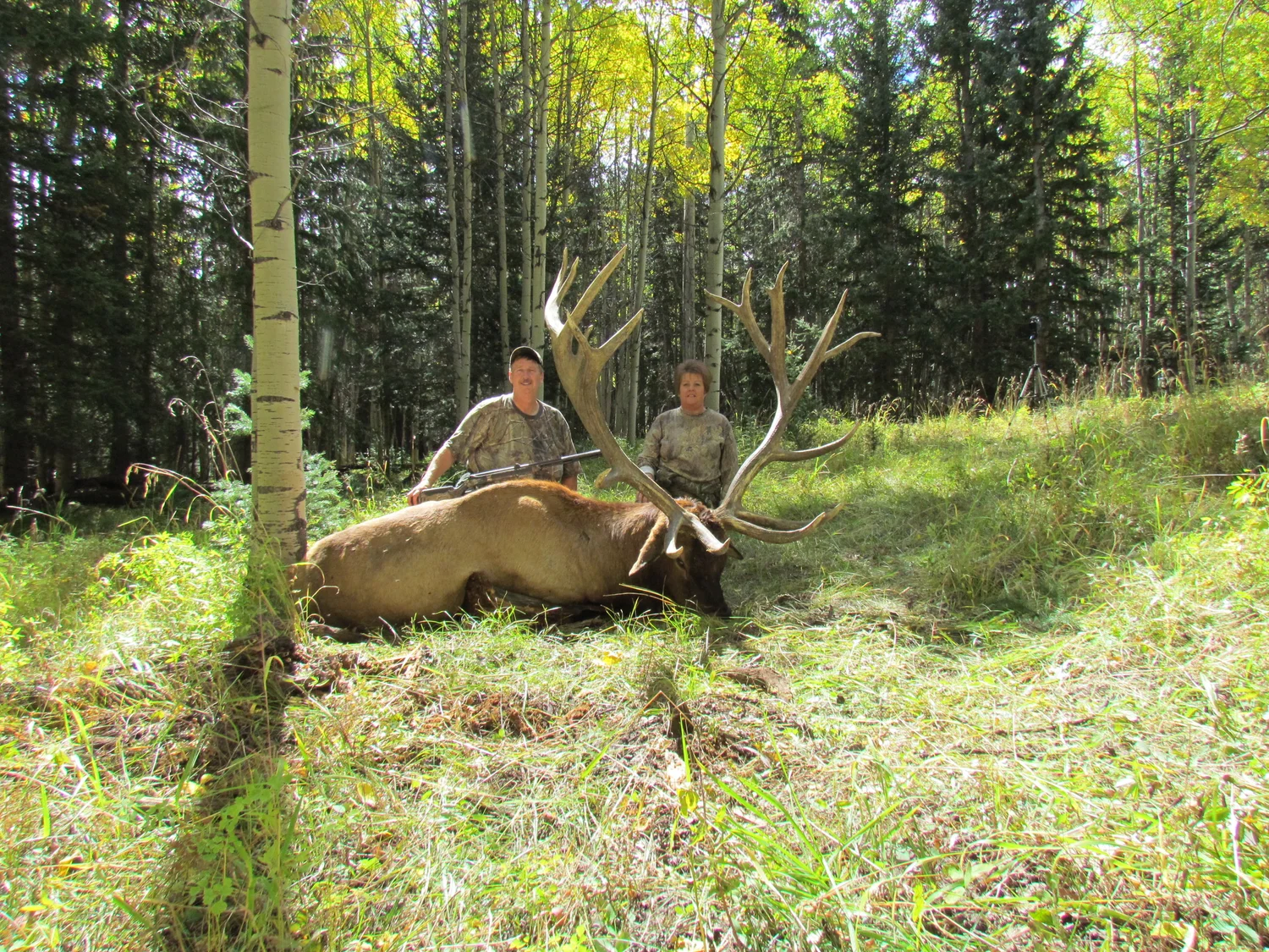 BULL BASIN RANCH COLORADO TROPHY BULL ELK HUNTS