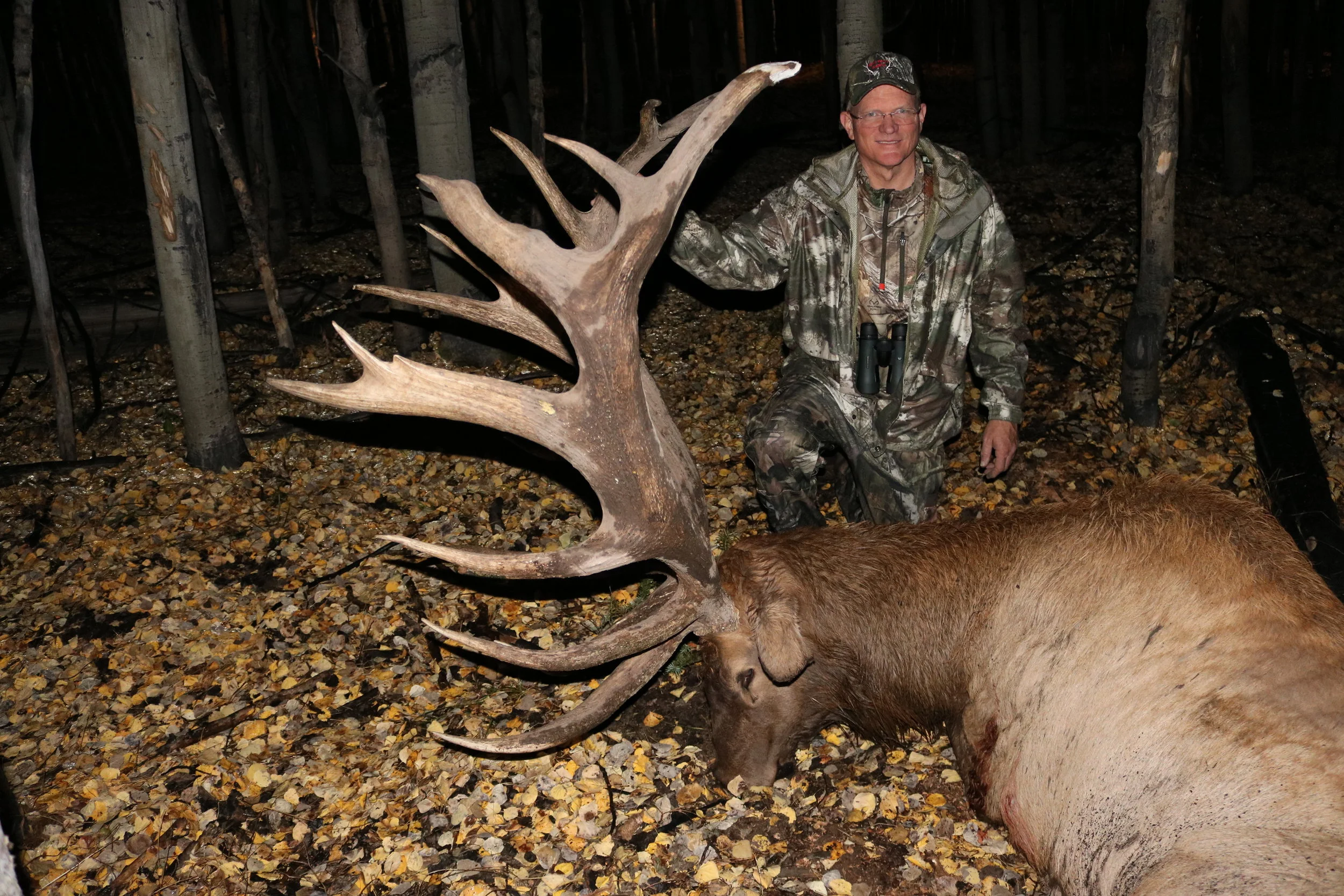 Trophy Elk Bull