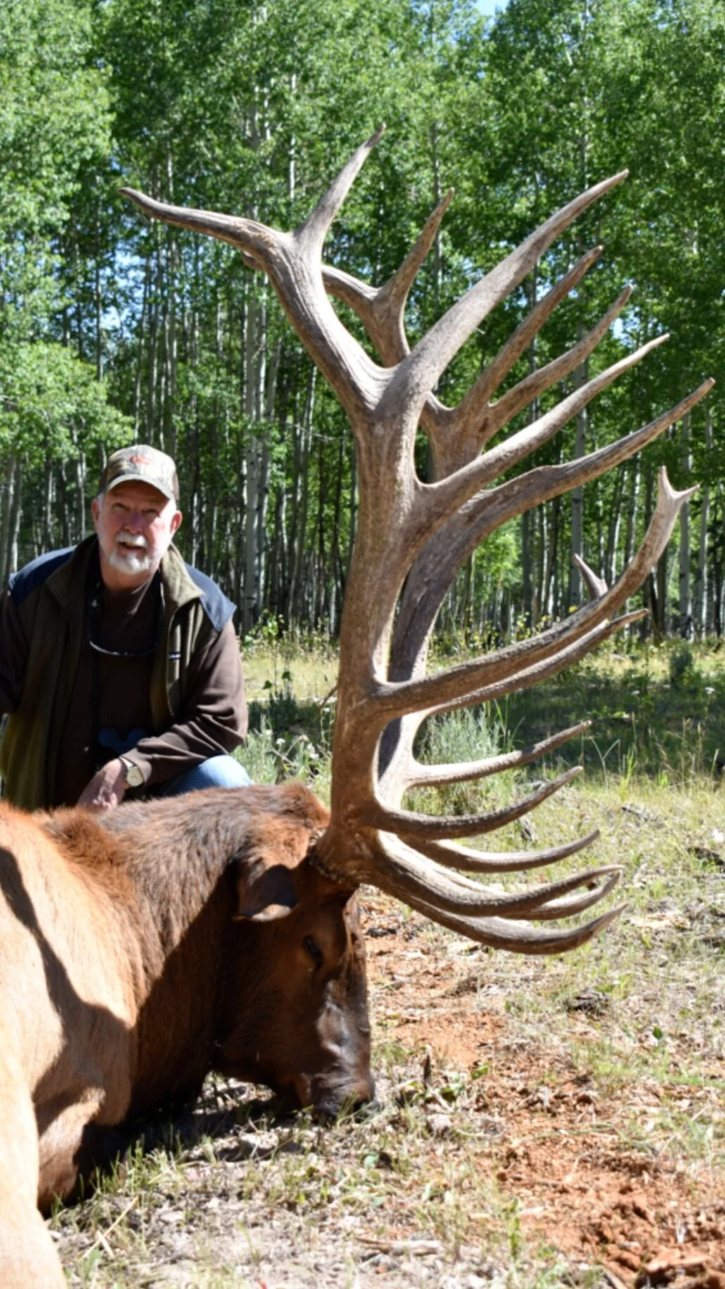 BULL BASIN RANCH COLORADO TROPHY BULL ELK HUNTS