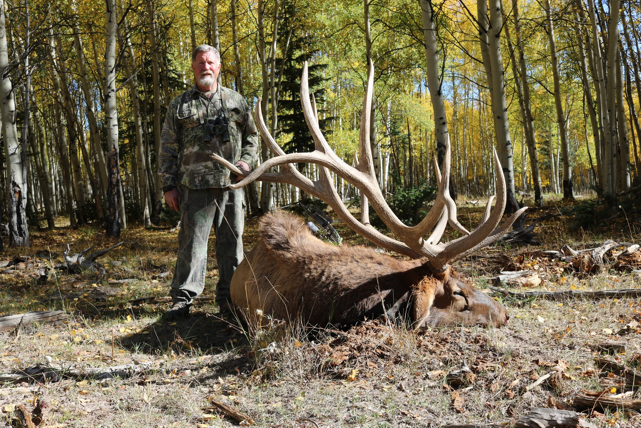 COLORADO TROPHY ELK HUNTS AT BULL BASIN RANCH COLORADO TROPHY BULL ELK ...