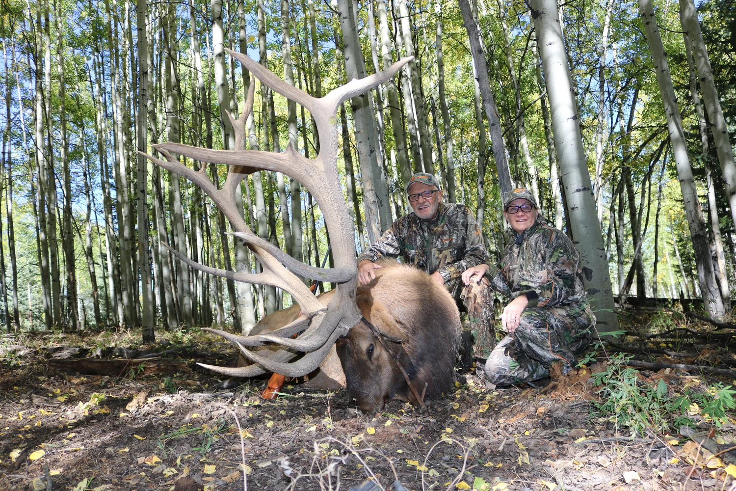 COLORADO TROPHY ELK HUNTS AT BULL BASIN RANCH COLORADO TROPHY BULL ELK ...