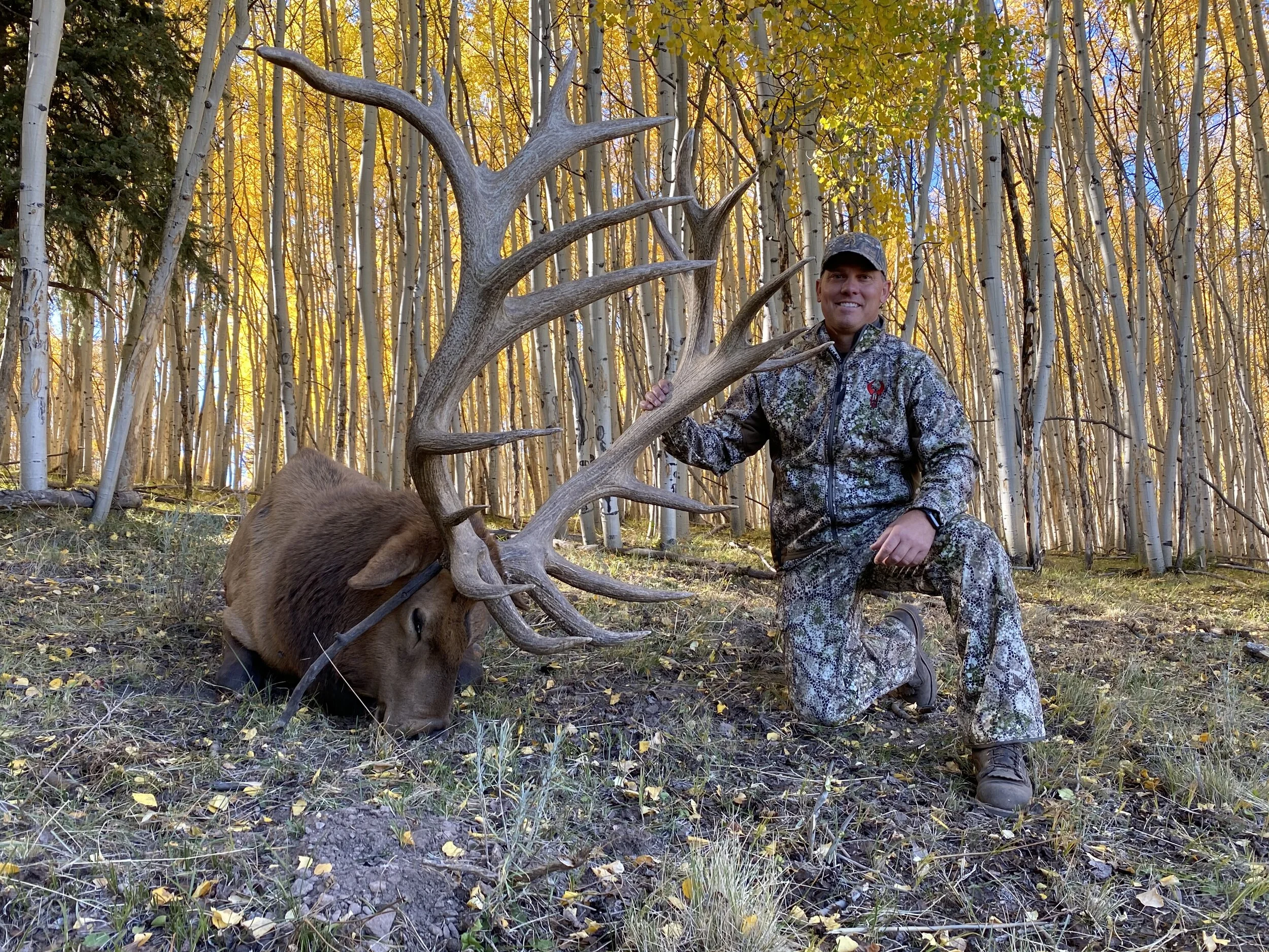 COLORADO TROPHY ELK HUNTS AT BULL BASIN RANCH COLORADO TROPHY BULL ELK ...