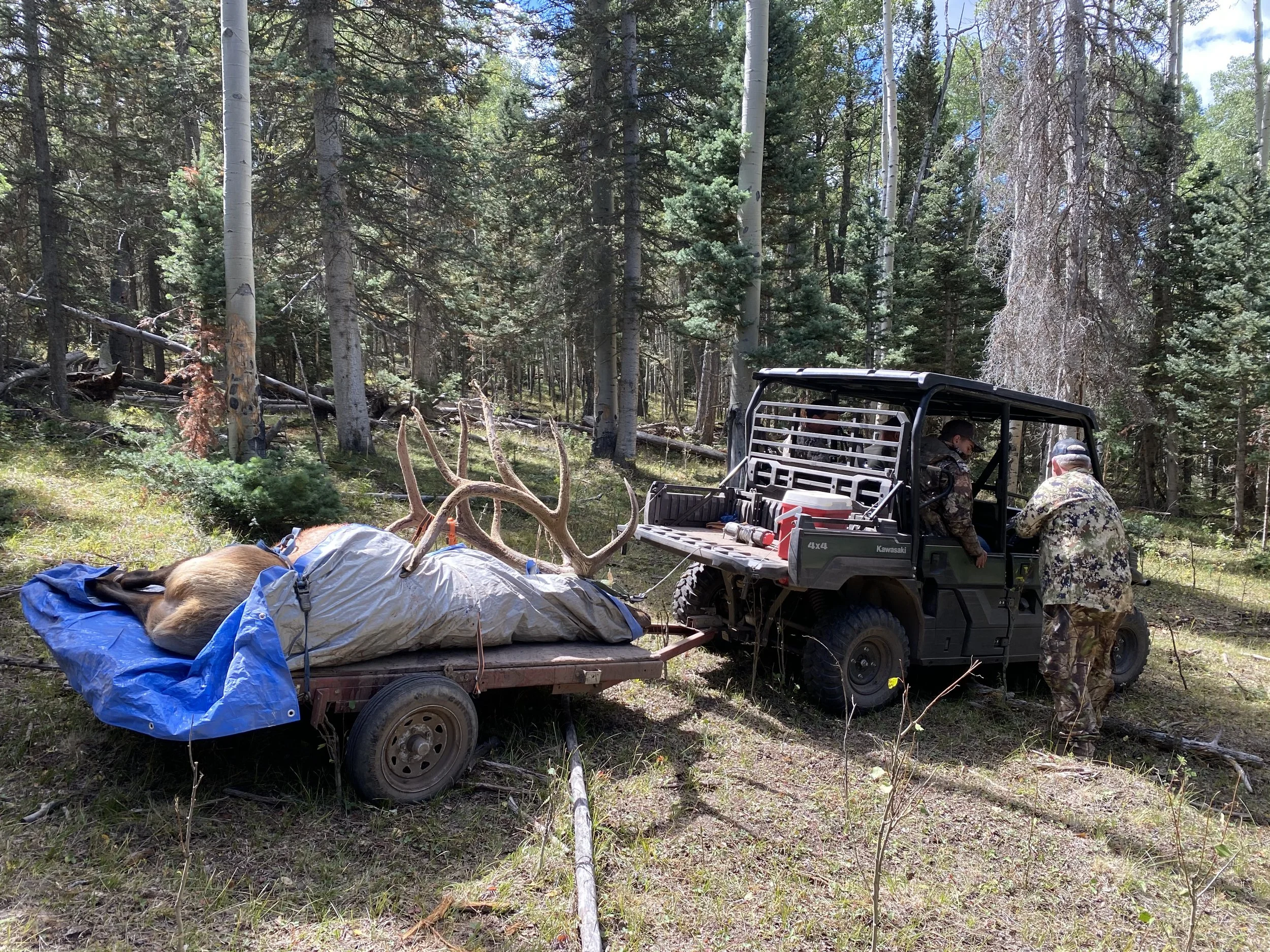 COLORADO TROPHY ELK HUNTS AT BULL BASIN RANCH COLORADO TROPHY BULL ELK ...