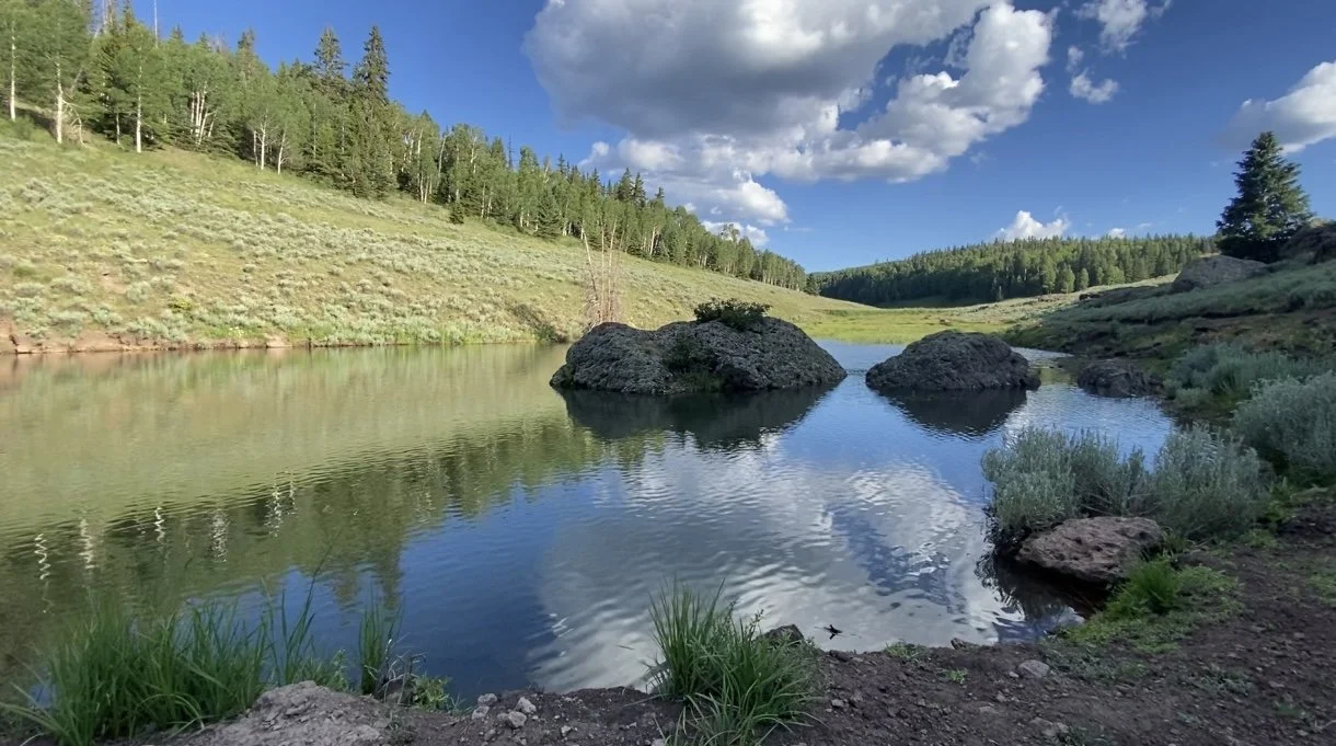 COLORADO TROPHY ELK HUNTS AT BULL BASIN RANCH COLORADO TROPHY BULL ELK ...