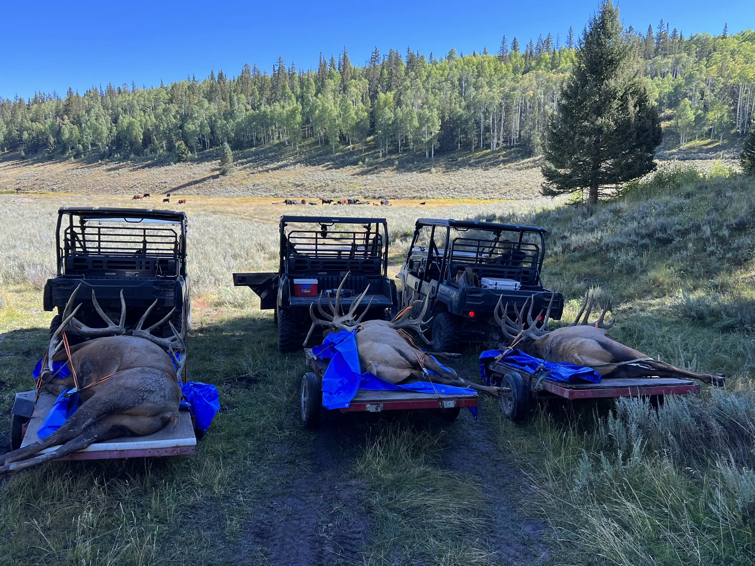 COLORADO TROPHY ELK HUNTS AT BULL BASIN RANCH COLORADO TROPHY BULL ELK ...