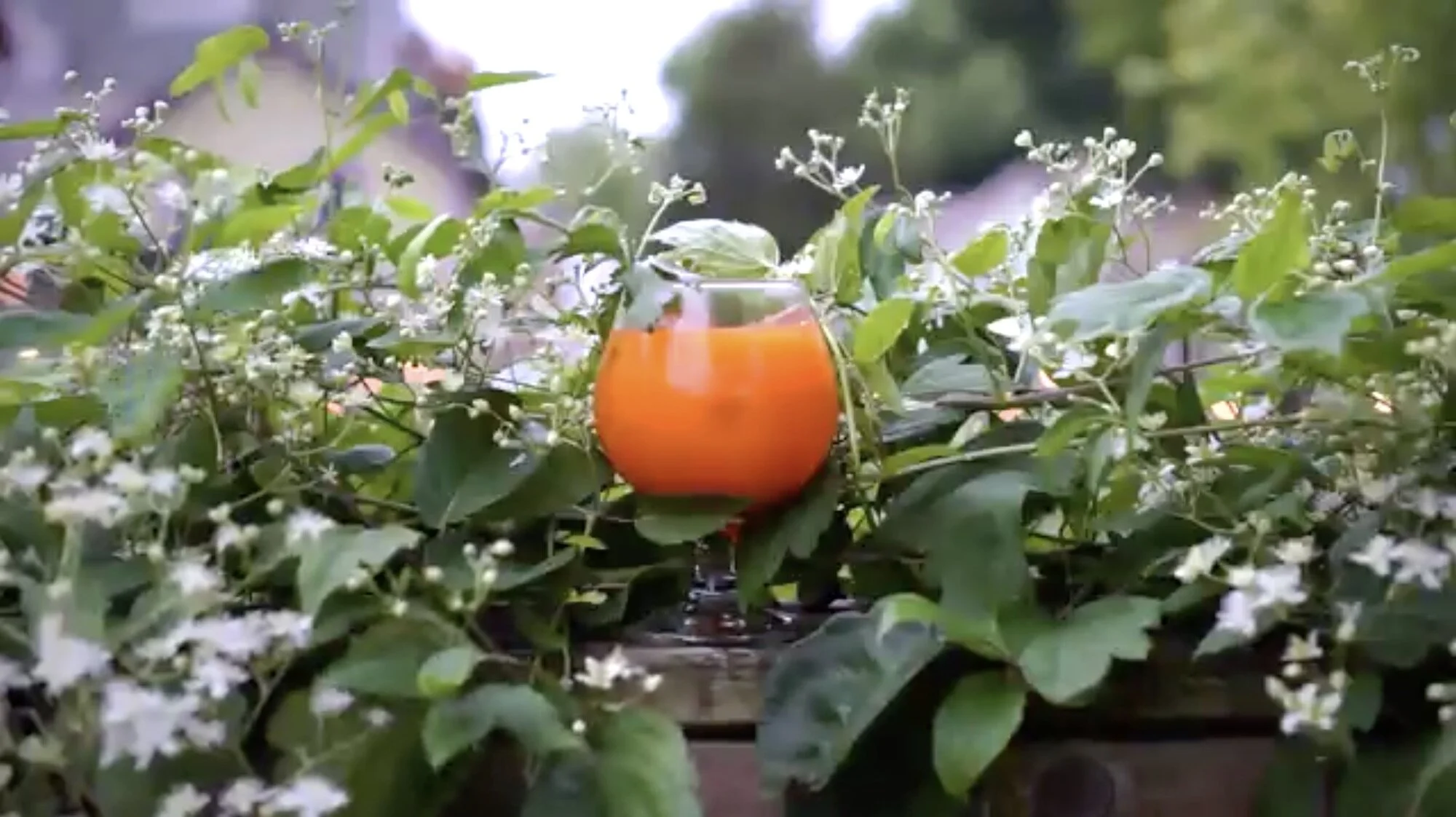 Gib's Bar | Craft Cocktail Bar | Madison, WI