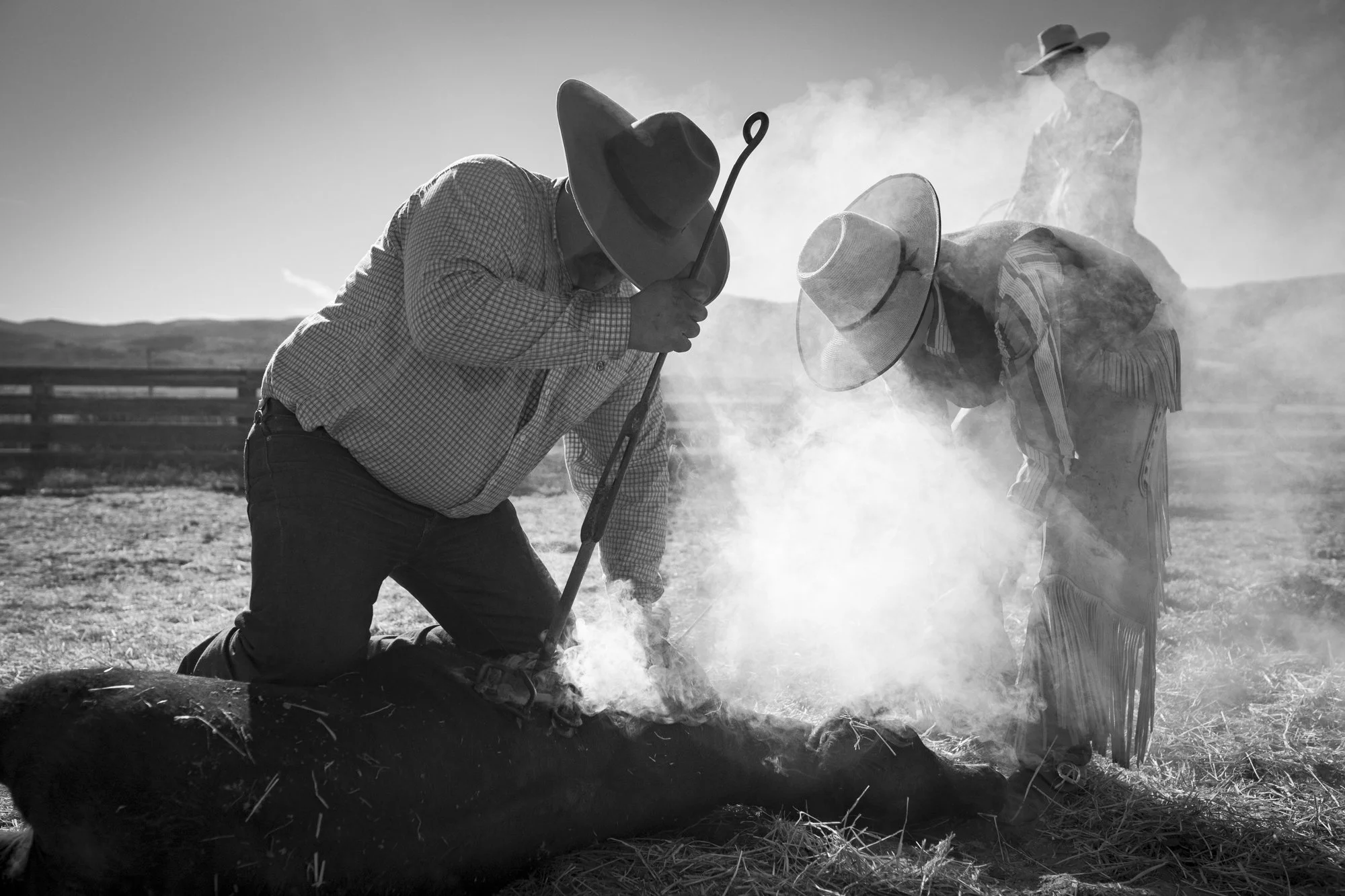 Western Cowboy Photographer based in Denver, Colorado