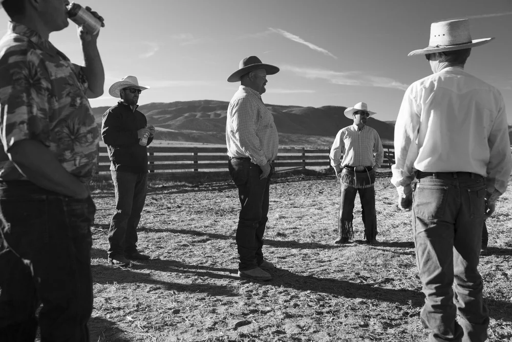 Cowboy Photography - American West - Cattle Ranching -Cattle Branding ...