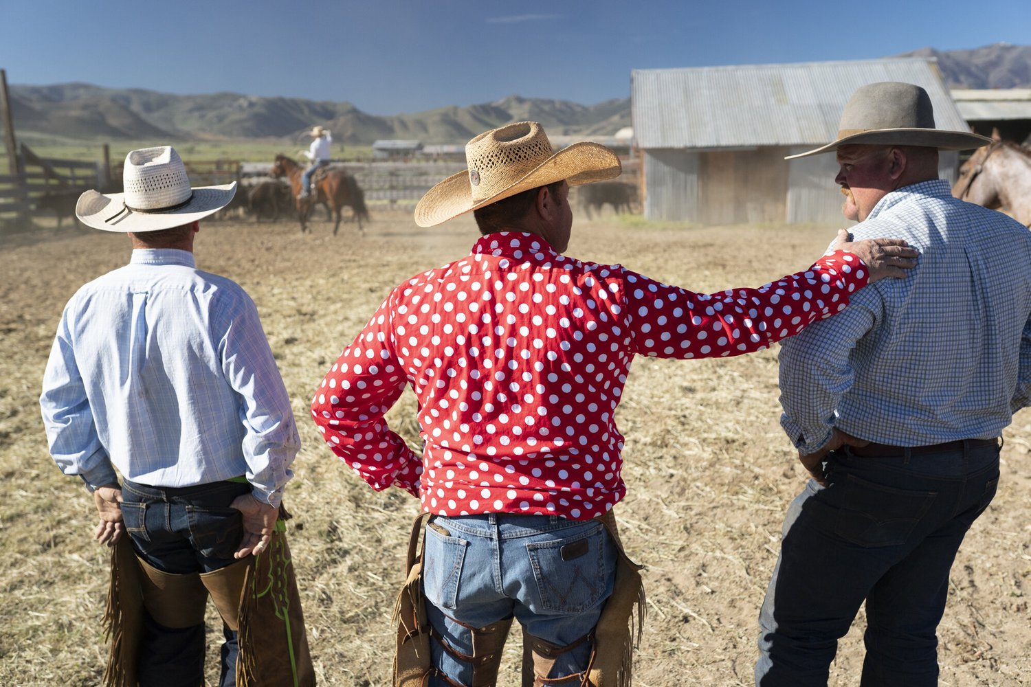 Cowboy Photography - American West - Cattle Ranching -Cattle Branding ...