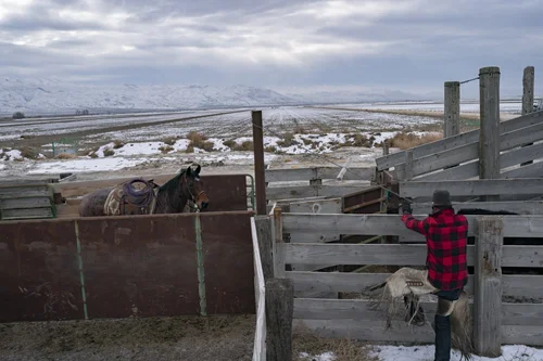Western Cowboy Photographer based in Denver, Colorado