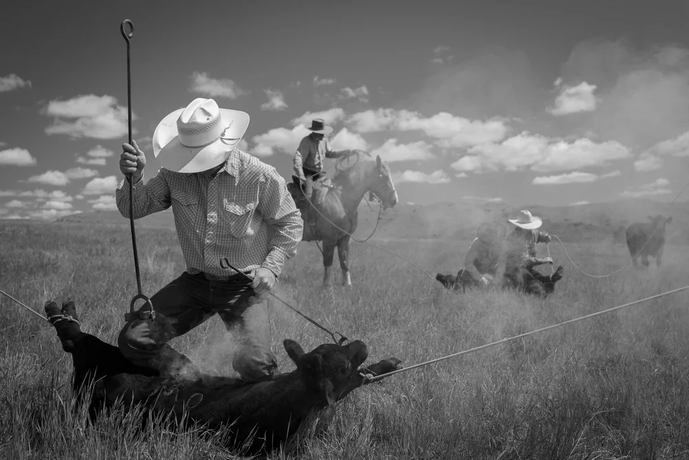Western Cowboy Photographer based in Denver, Colorado