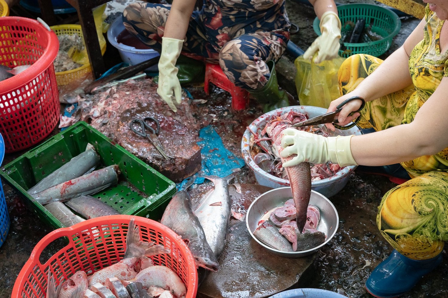 Hoi An Market Photographs – Authentic Vietnam Open Air Market Images ...