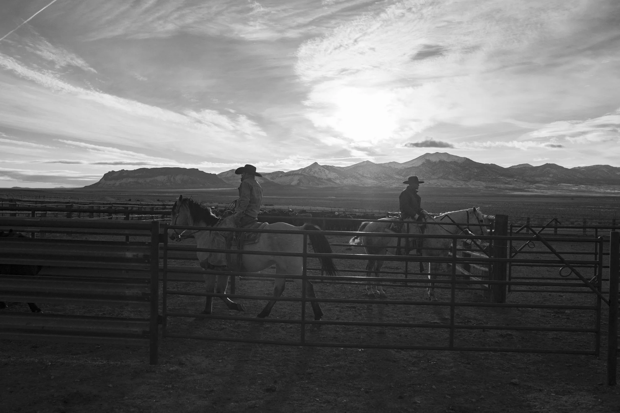 San Diego Photographer