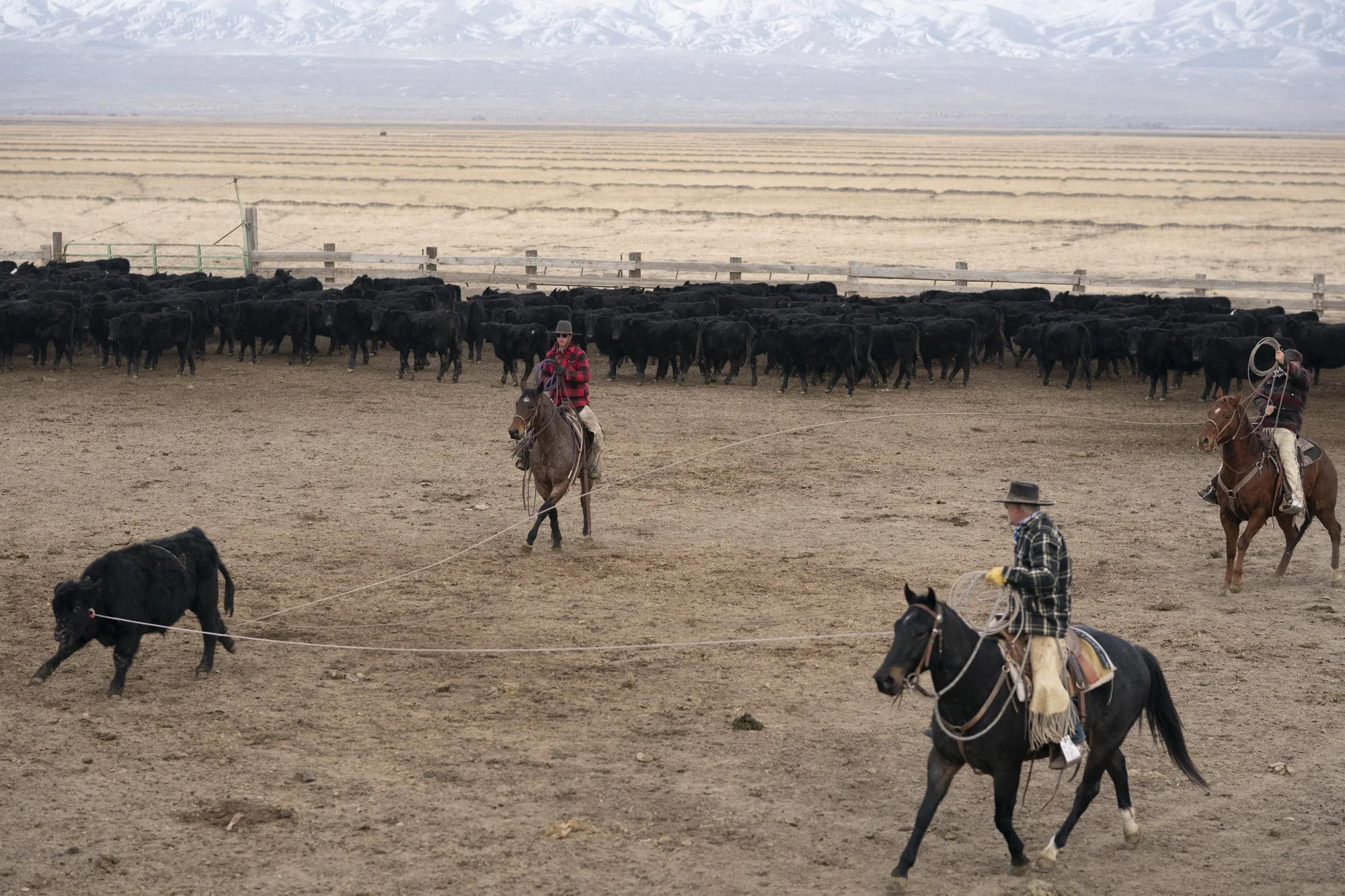 Photographer in Denver, Colorado