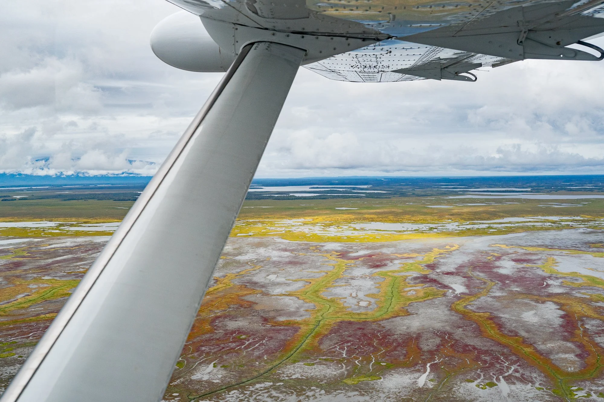Fly Fishing Photography of Iliamna, Alaska – Wild Fish and Remote ...