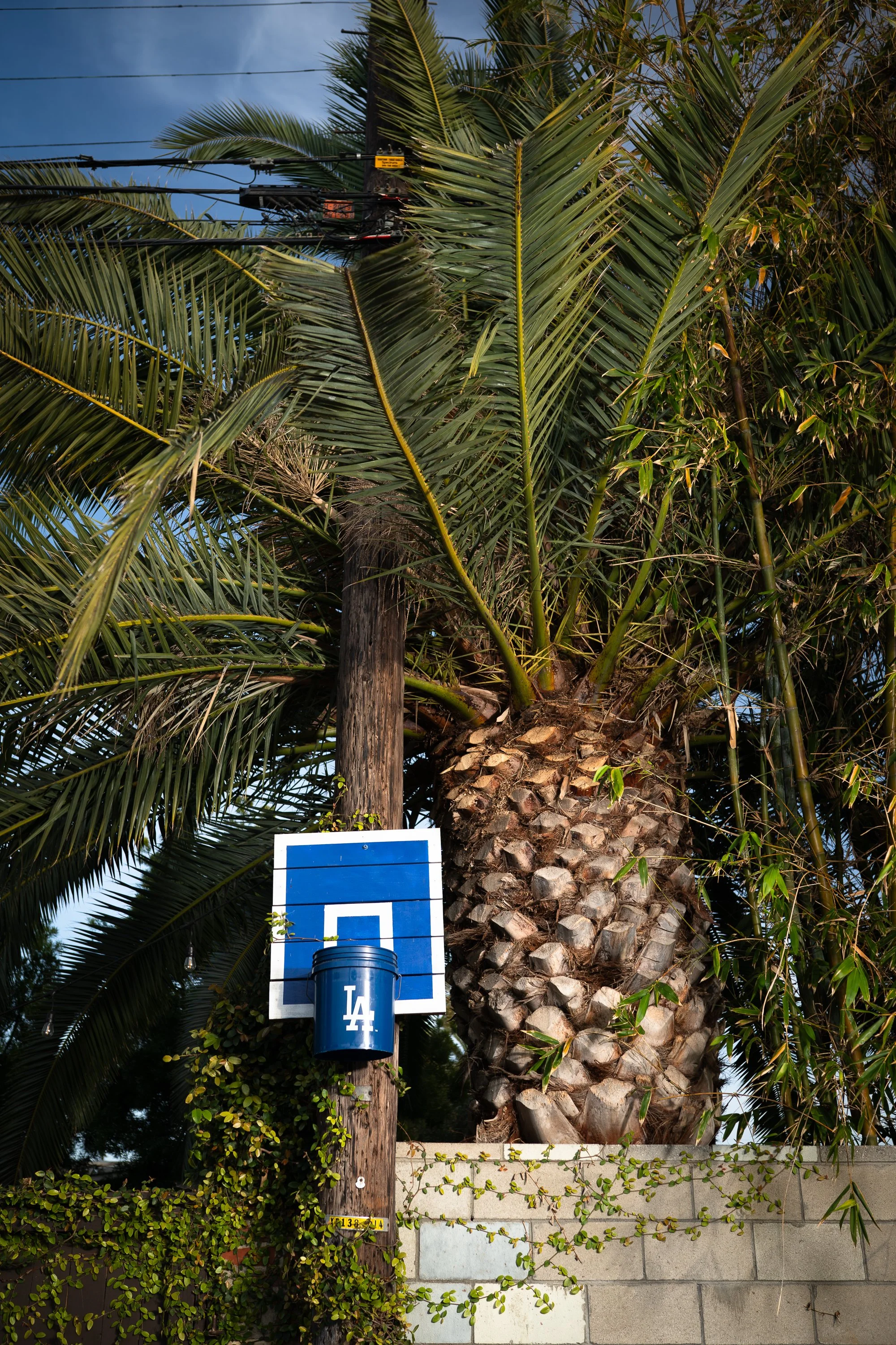 Basketball Hoop Photography Featured in Courtside Candy by Gestalten ...