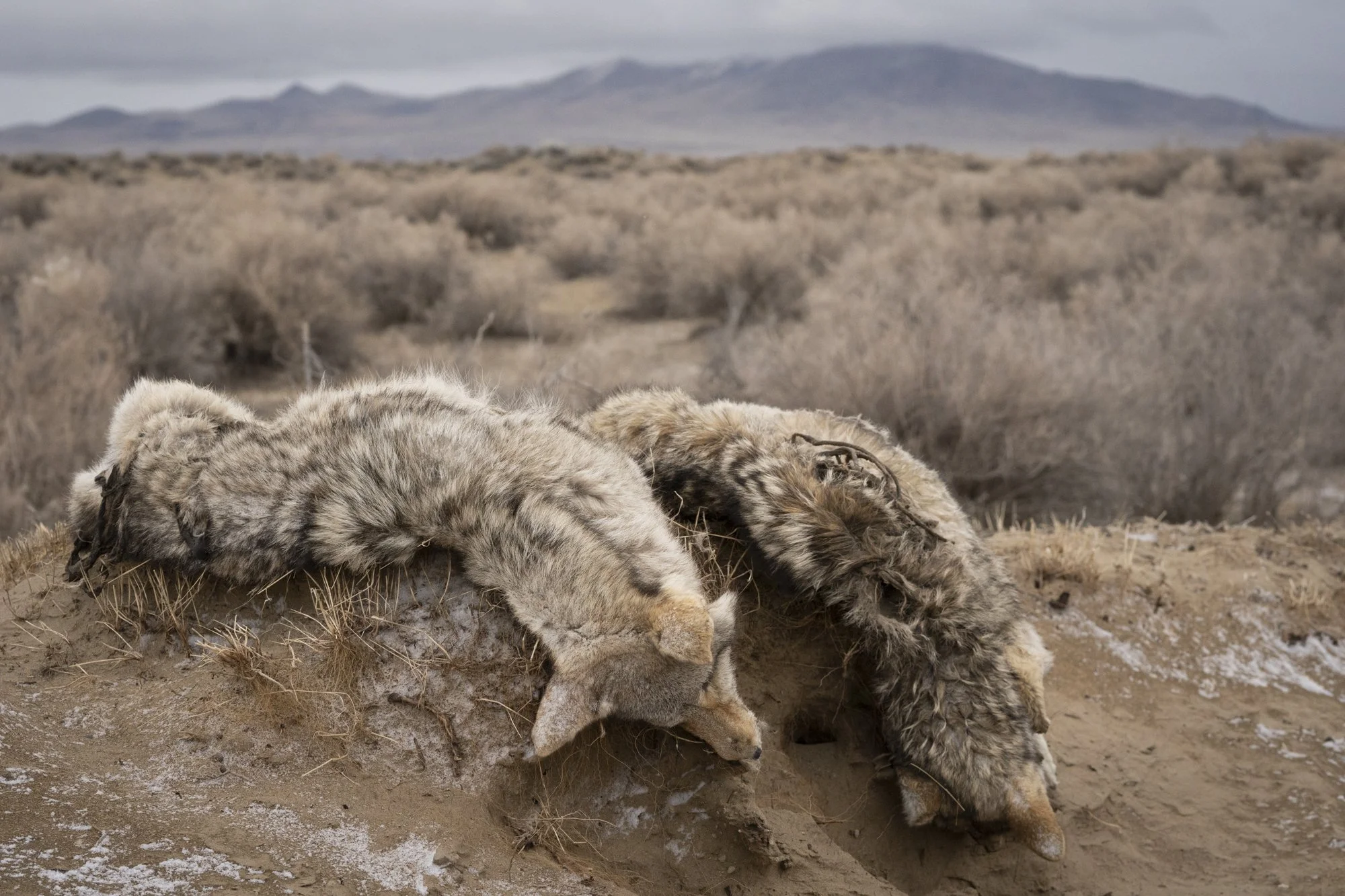 San Diego Photographer