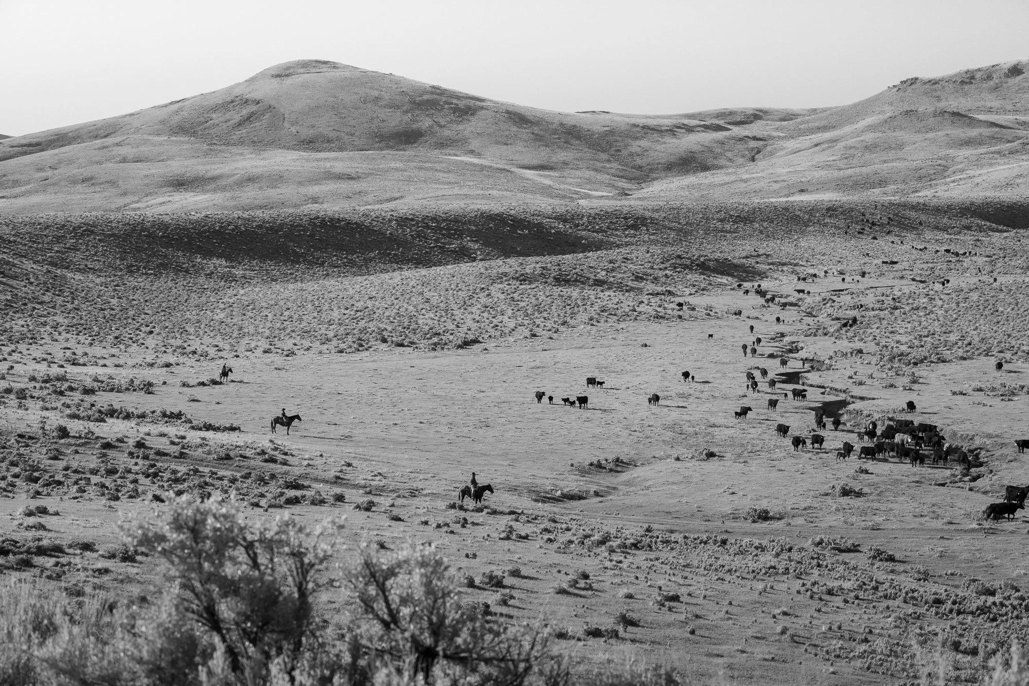 Photographer based in Denver, Colorado