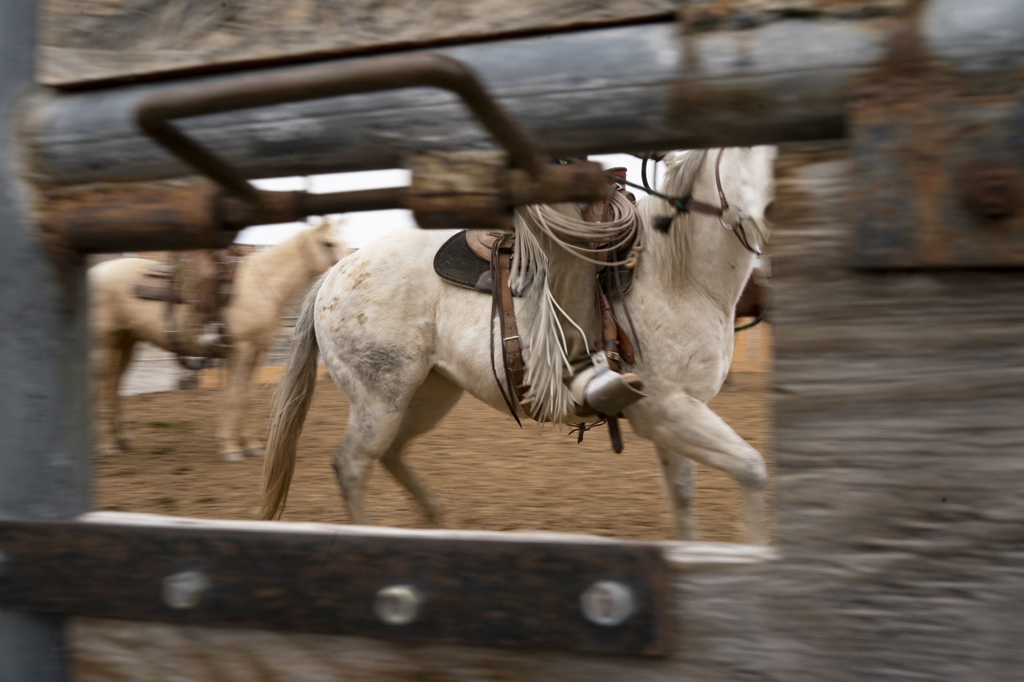San Diego Photographer