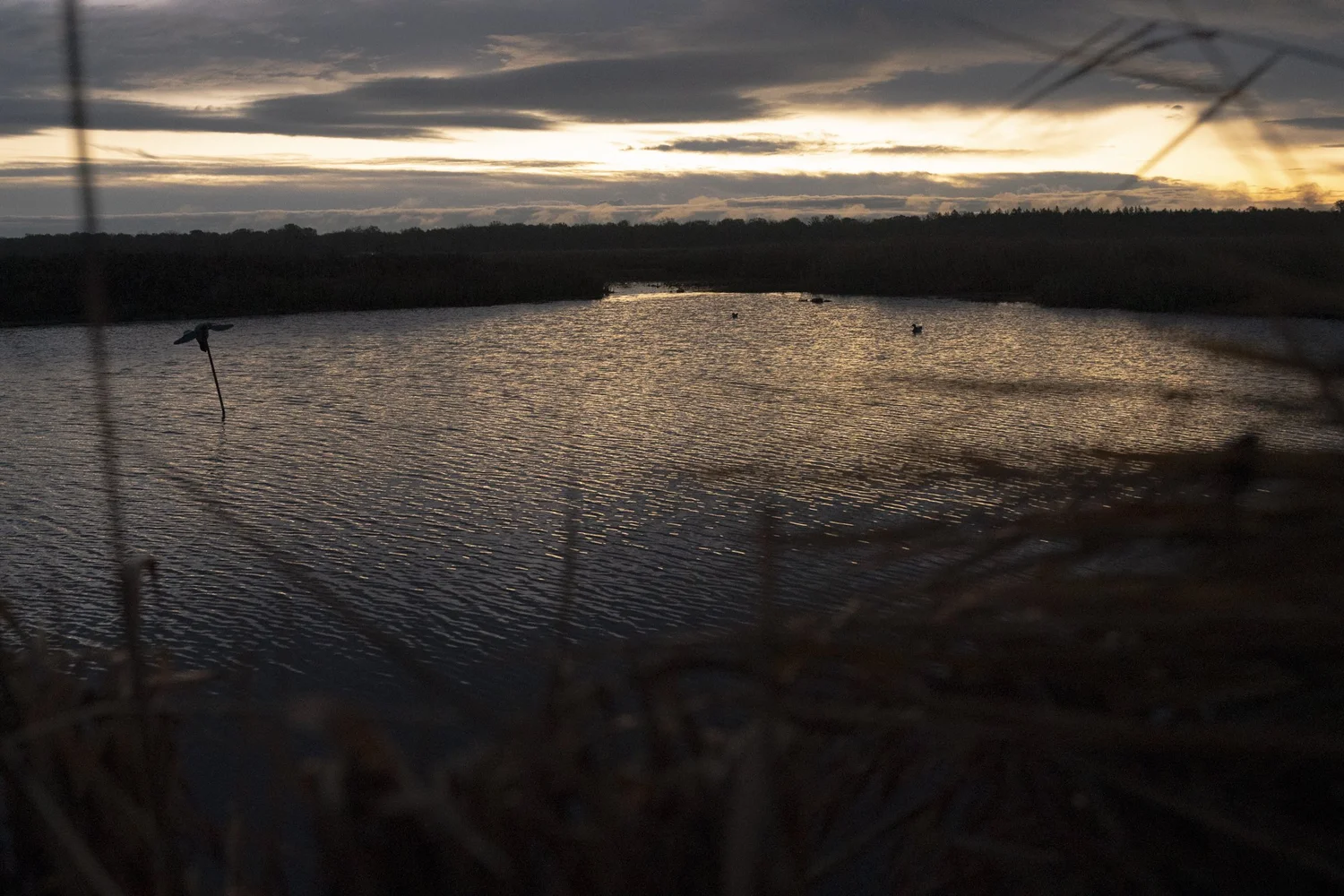 Duck Hunting Photography - Turkey Point, Ontario, Canada — Rob Hammer ...