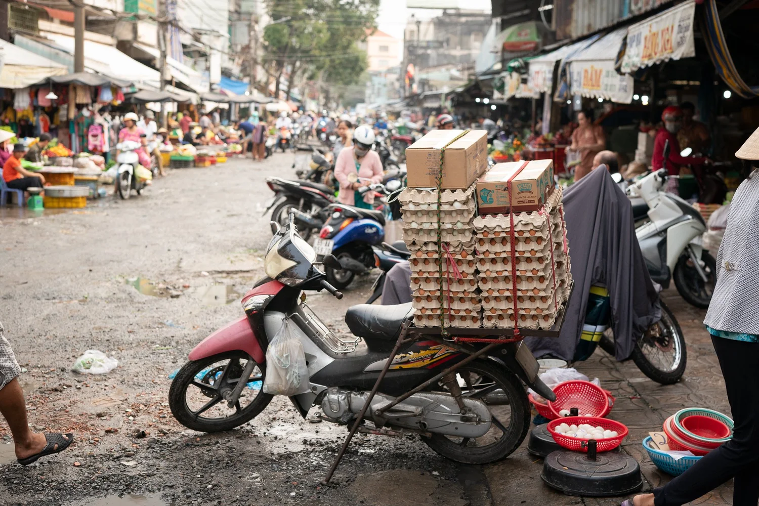 Hoi An Market Photographs – Authentic Vietnam Open Air Market Images ...