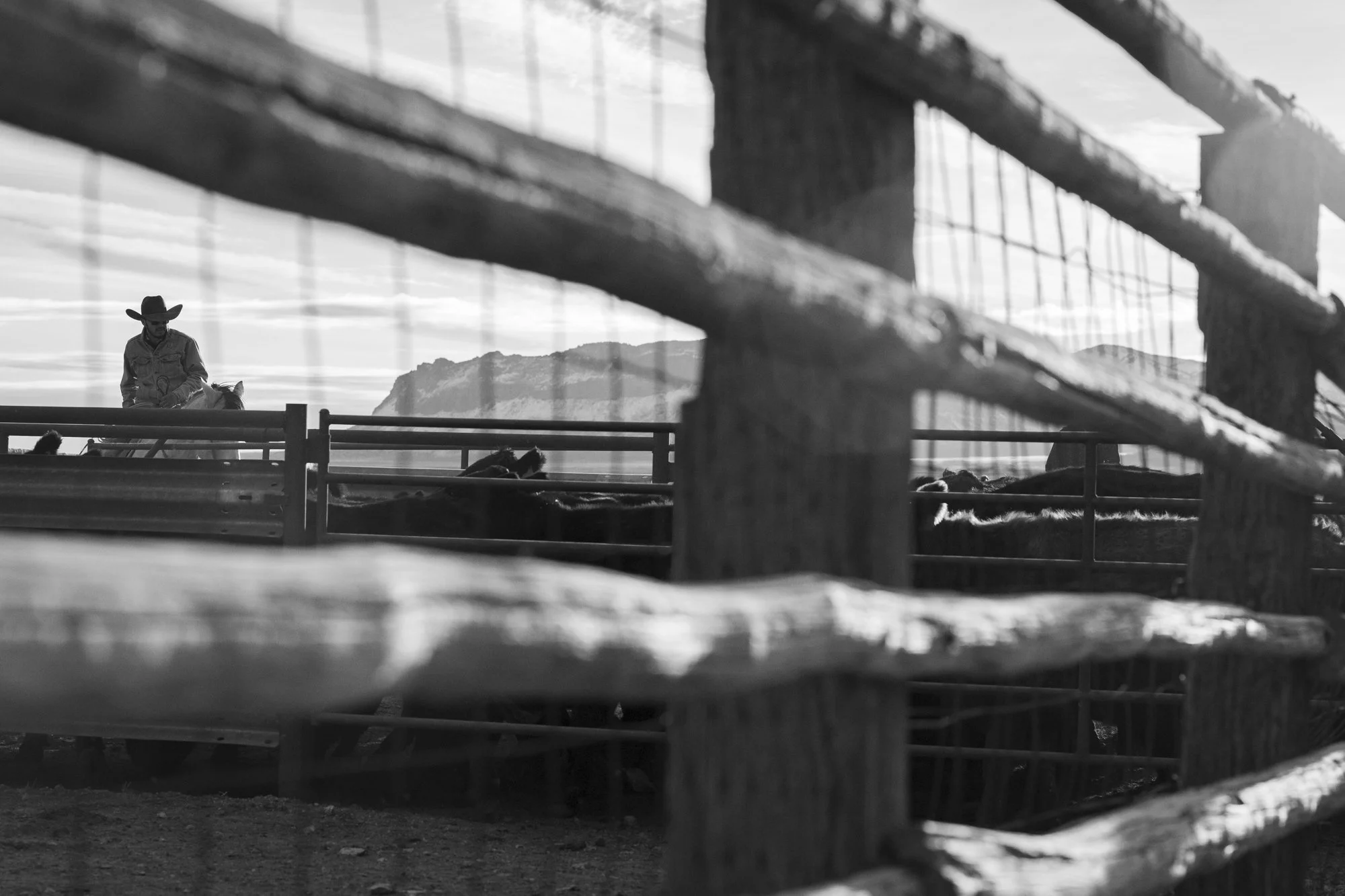 San Diego Photographer