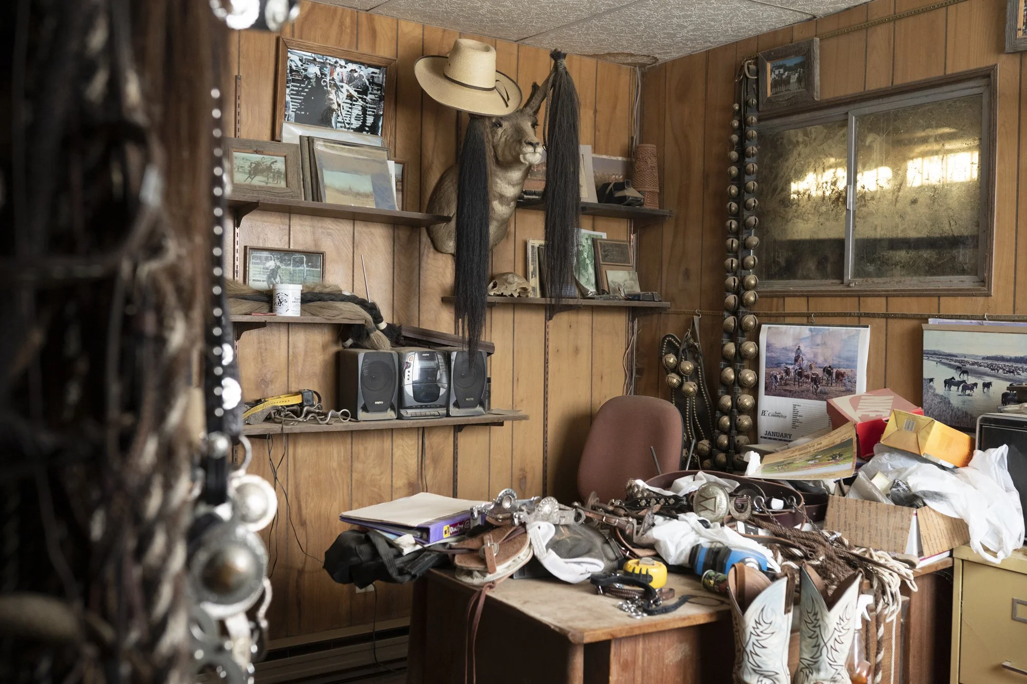 Raleigh, North Carolina Photographer