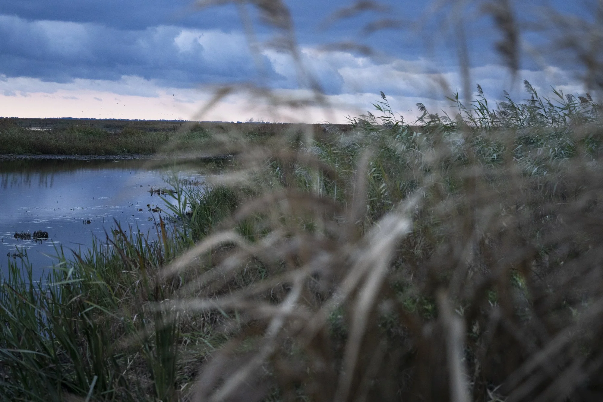 Duck Hunting Photography - Turkey Point, Ontario, Canada — Rob Hammer ...