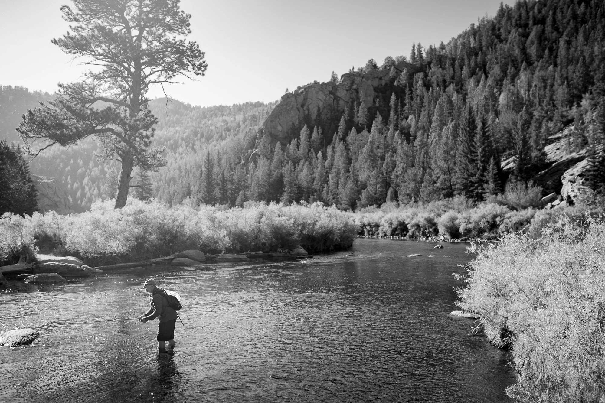 11 Mile Canyon - Colorado - Fly Fishing Photos — Rob Hammer Photography