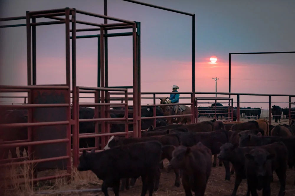 6666 Ranch Photography | Inside the Four Sixes in Texas — Rob Hammer ...