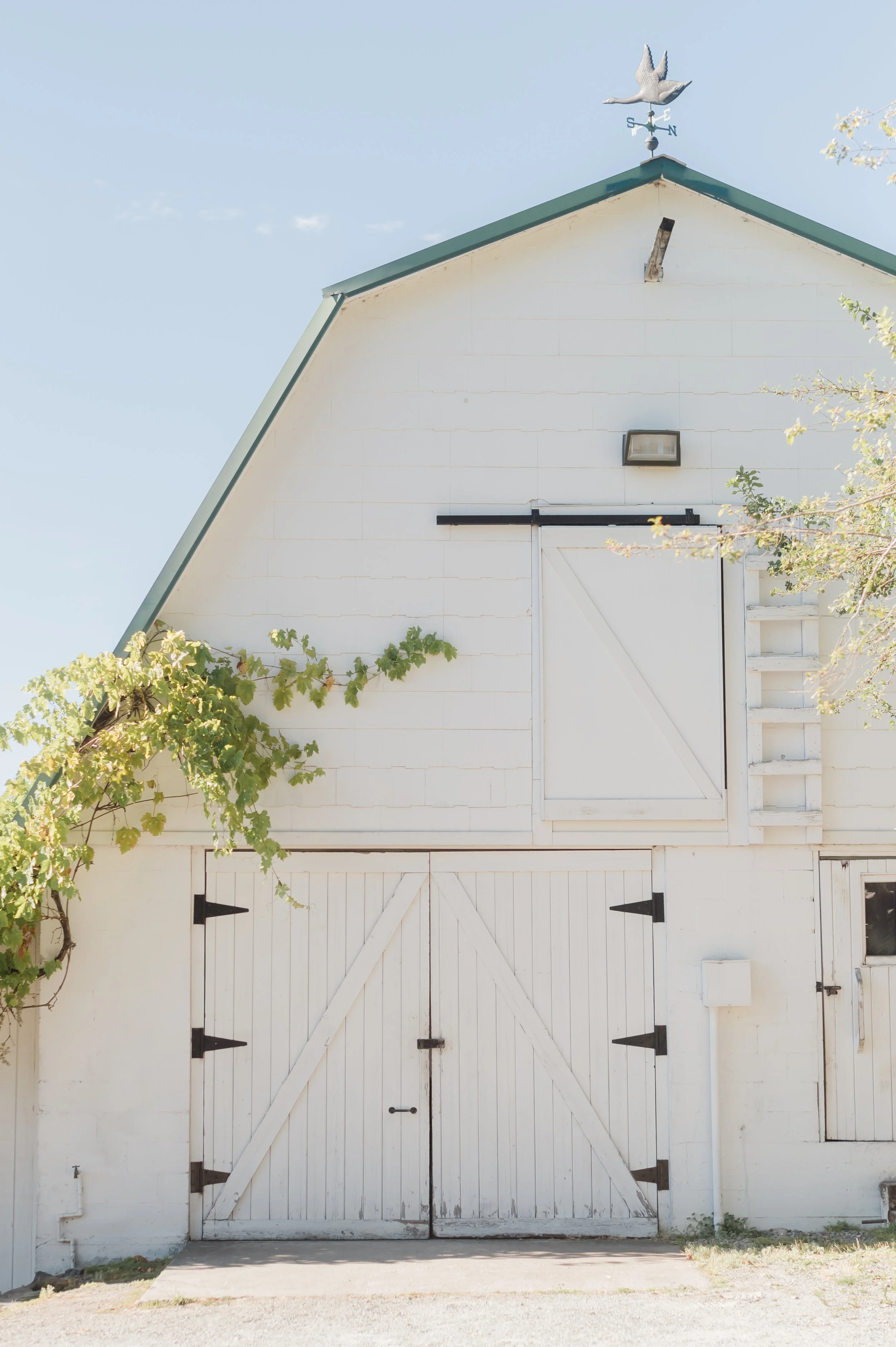 Real Wedding | Chateau Lill — juliet + lou