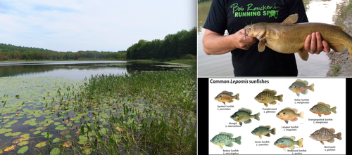 Native Plant Agriculture — Indigenous Landscapes