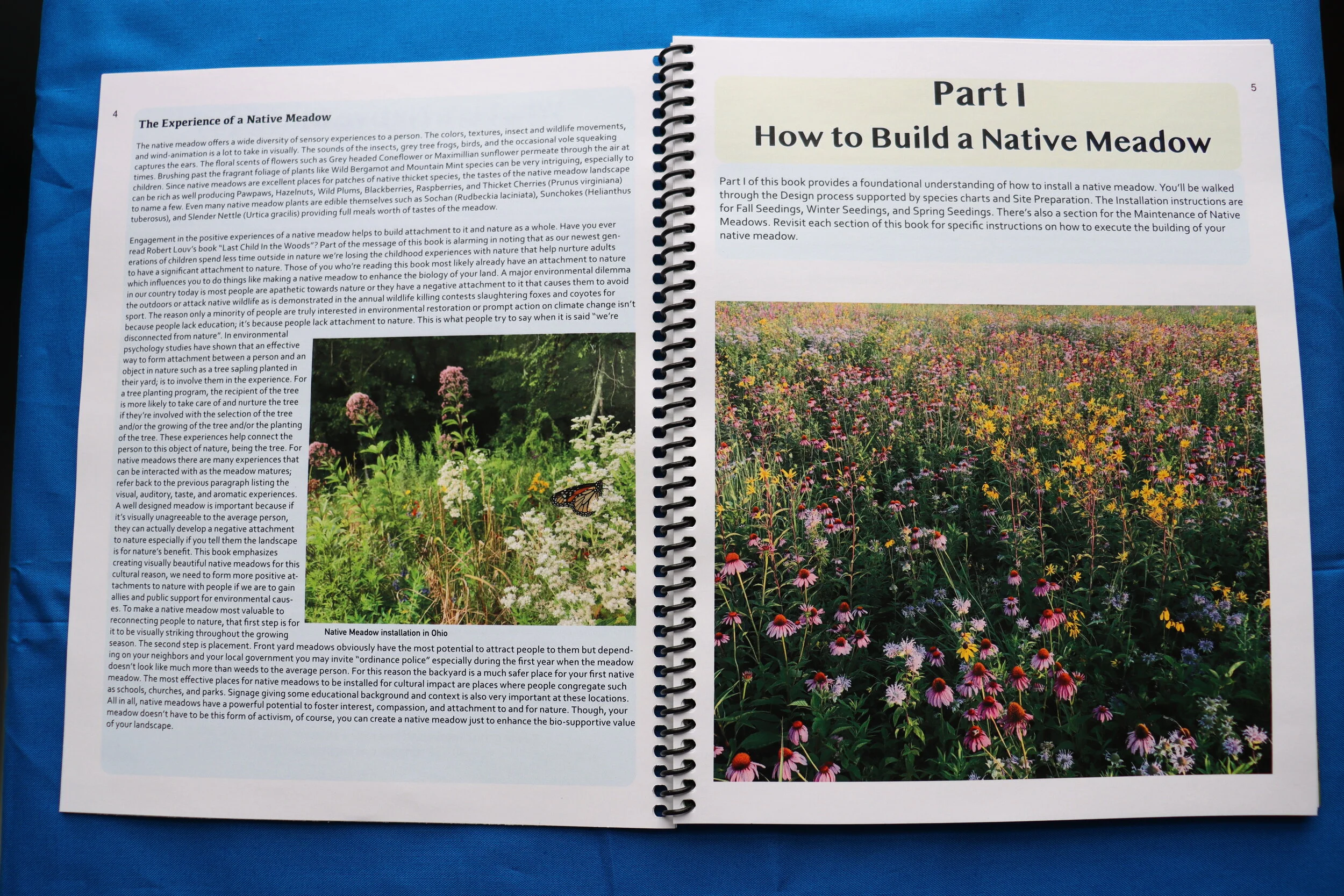 Native Meadowscaping Book — Indigenous Landscapes