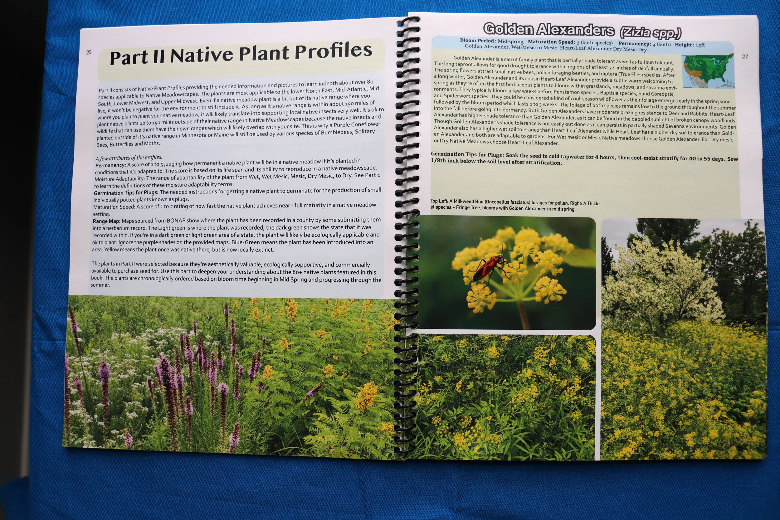 Native Meadowscaping Book — Indigenous Landscapes