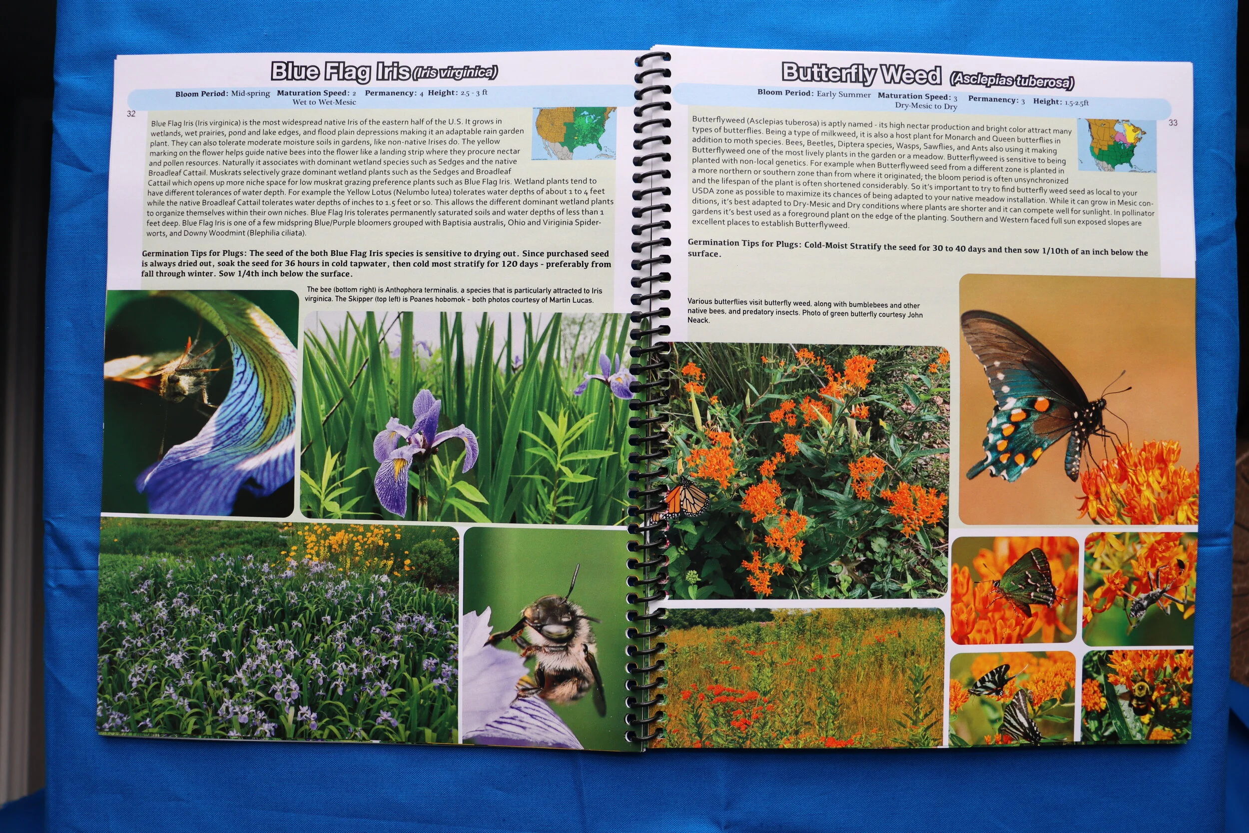 Native Meadowscaping Book — Indigenous Landscapes