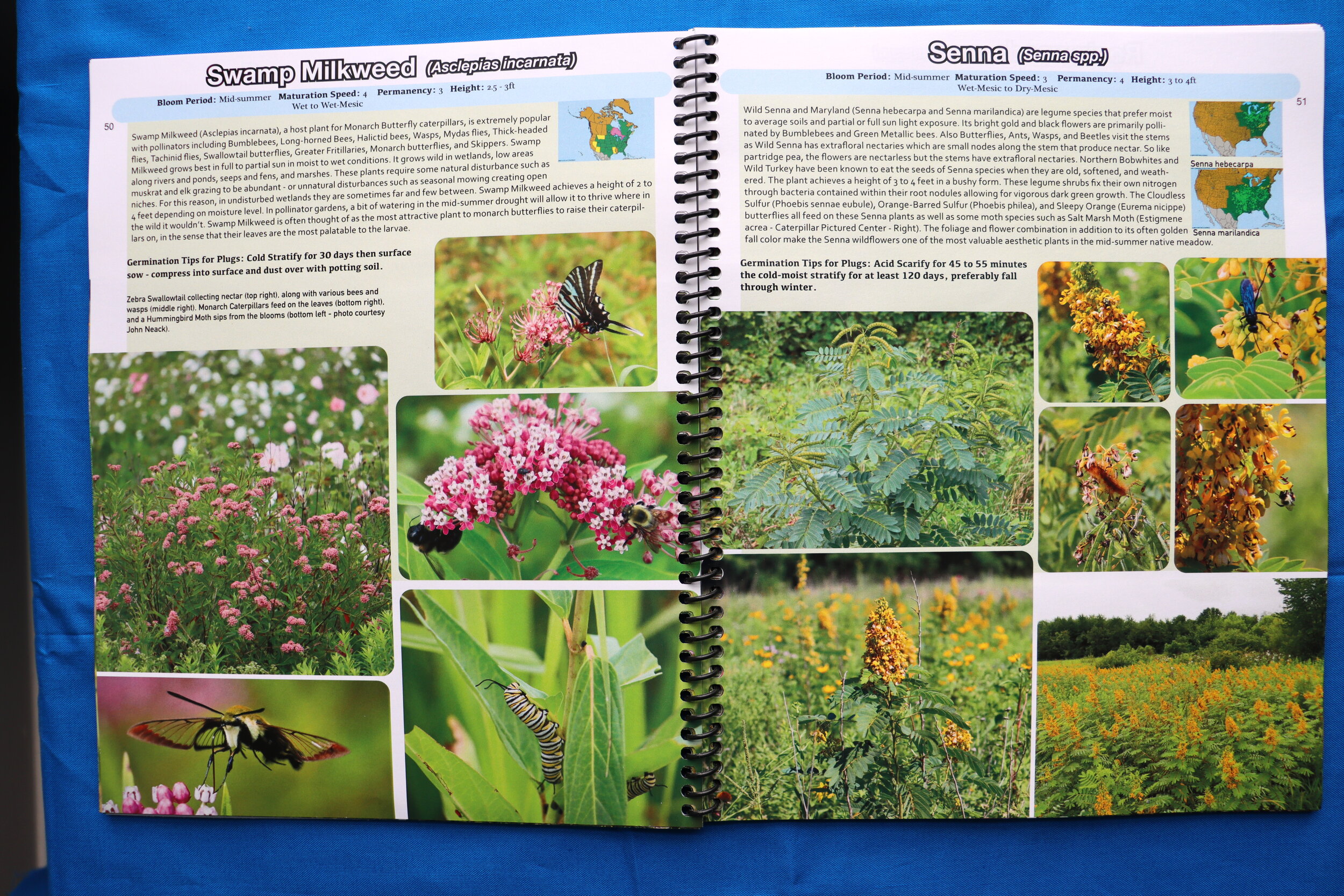 Native Meadowscaping Book — Indigenous Landscapes