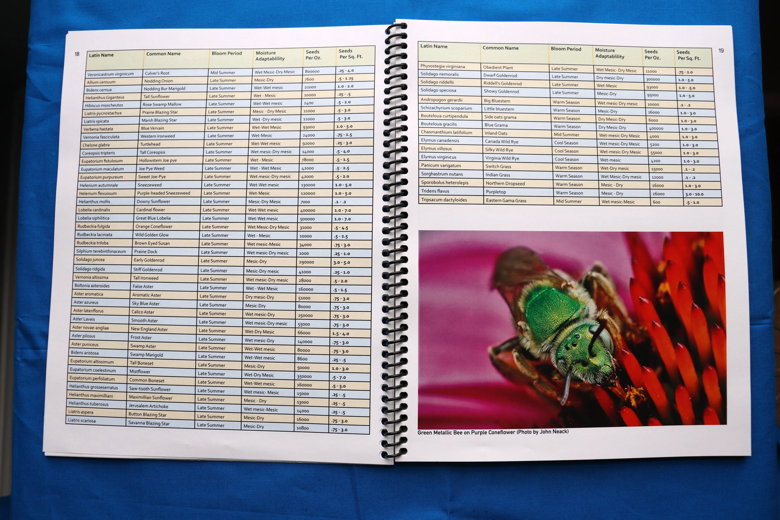 Native Meadowscaping Book — Indigenous Landscapes