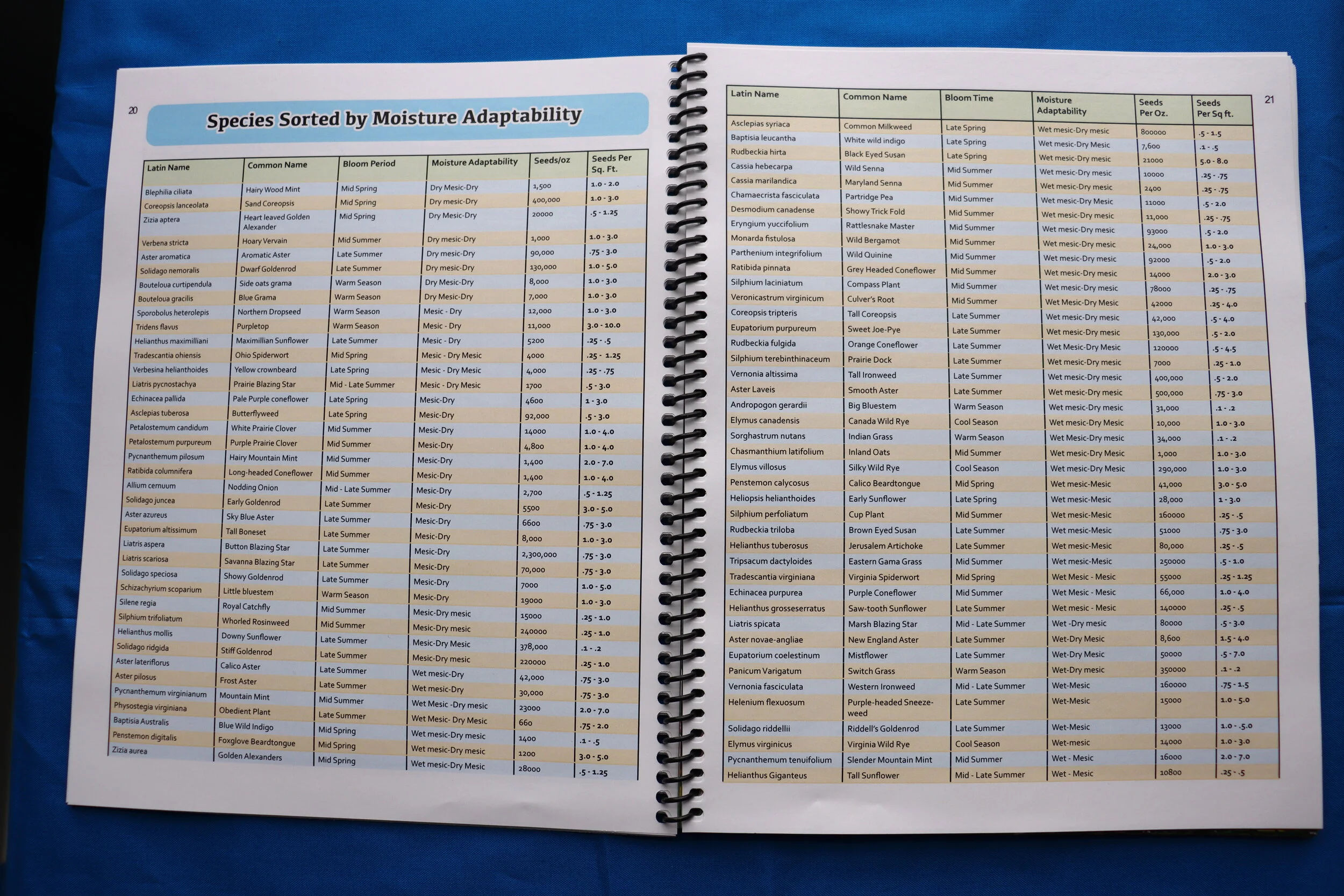 Native Meadowscaping Book — Indigenous Landscapes